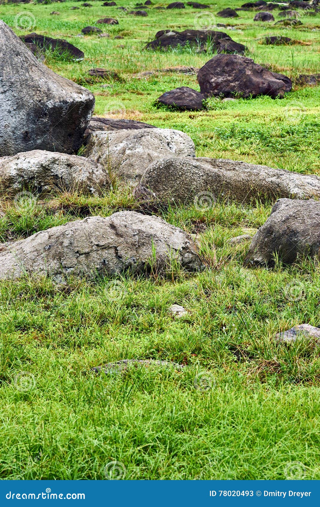 Natural Hot Springs stock image. Image of blue, national - 78020493