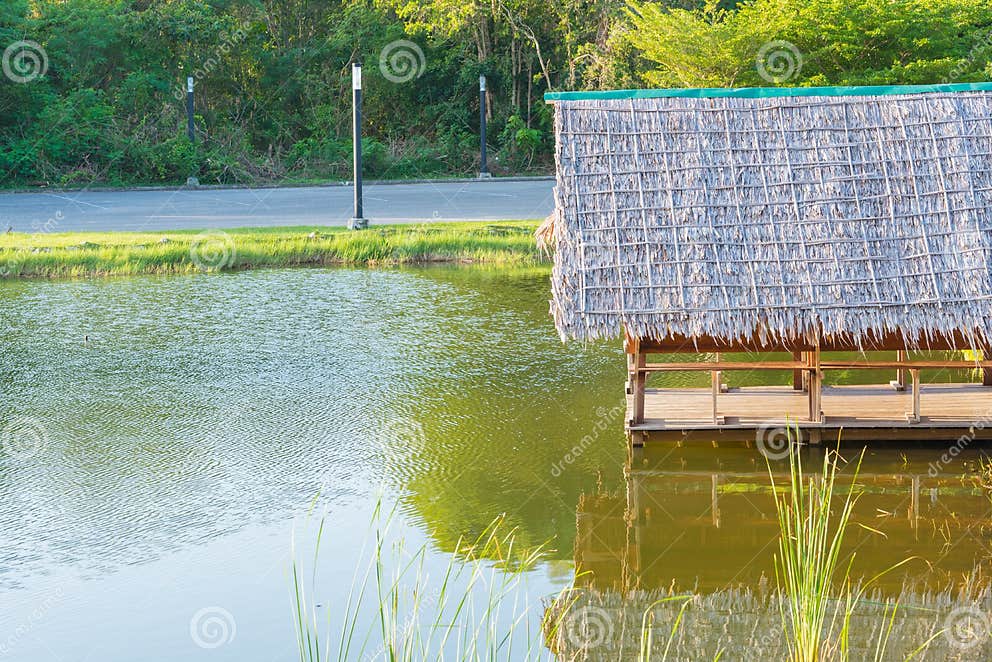 Natural hut on river stock photo. Image of river, nature - 99072076