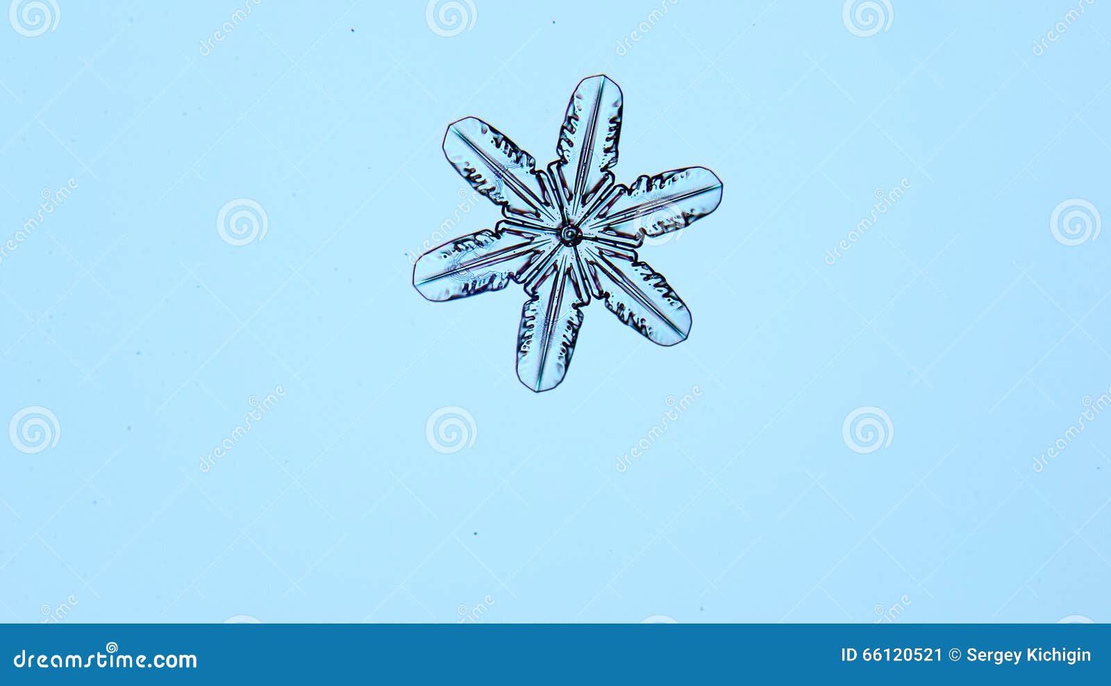 Natural Ice Crystal Snowflake Stock Illustration - Illustration of ...