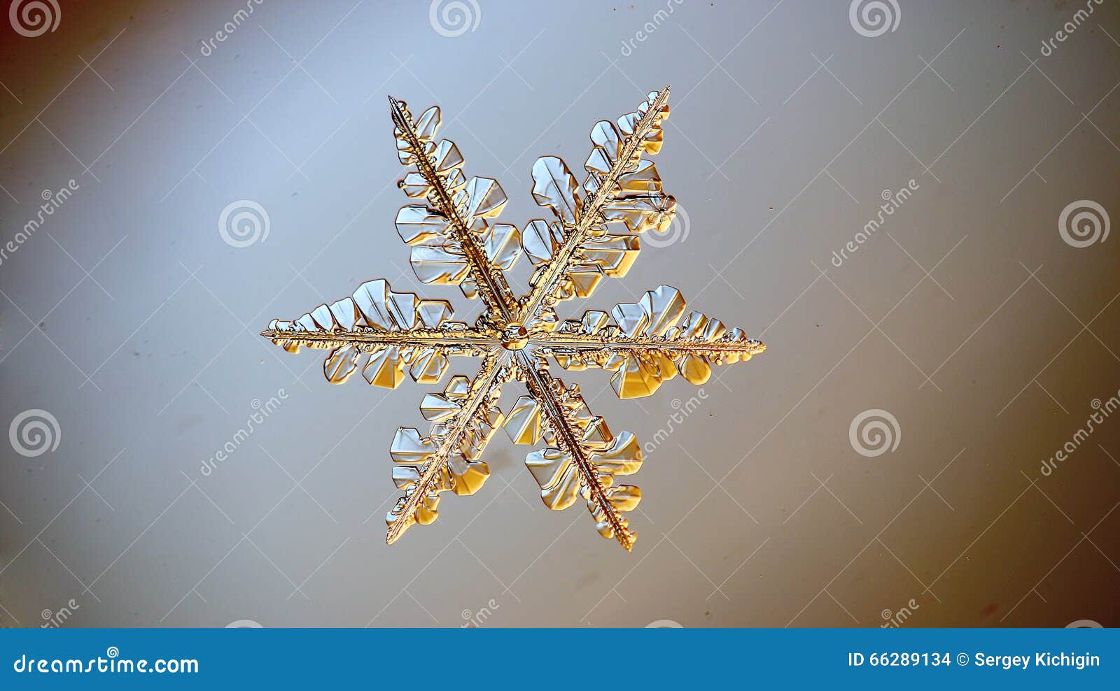 Natural Ice Crystal Snowflake Stock Photo - Image of decorative, merry ...