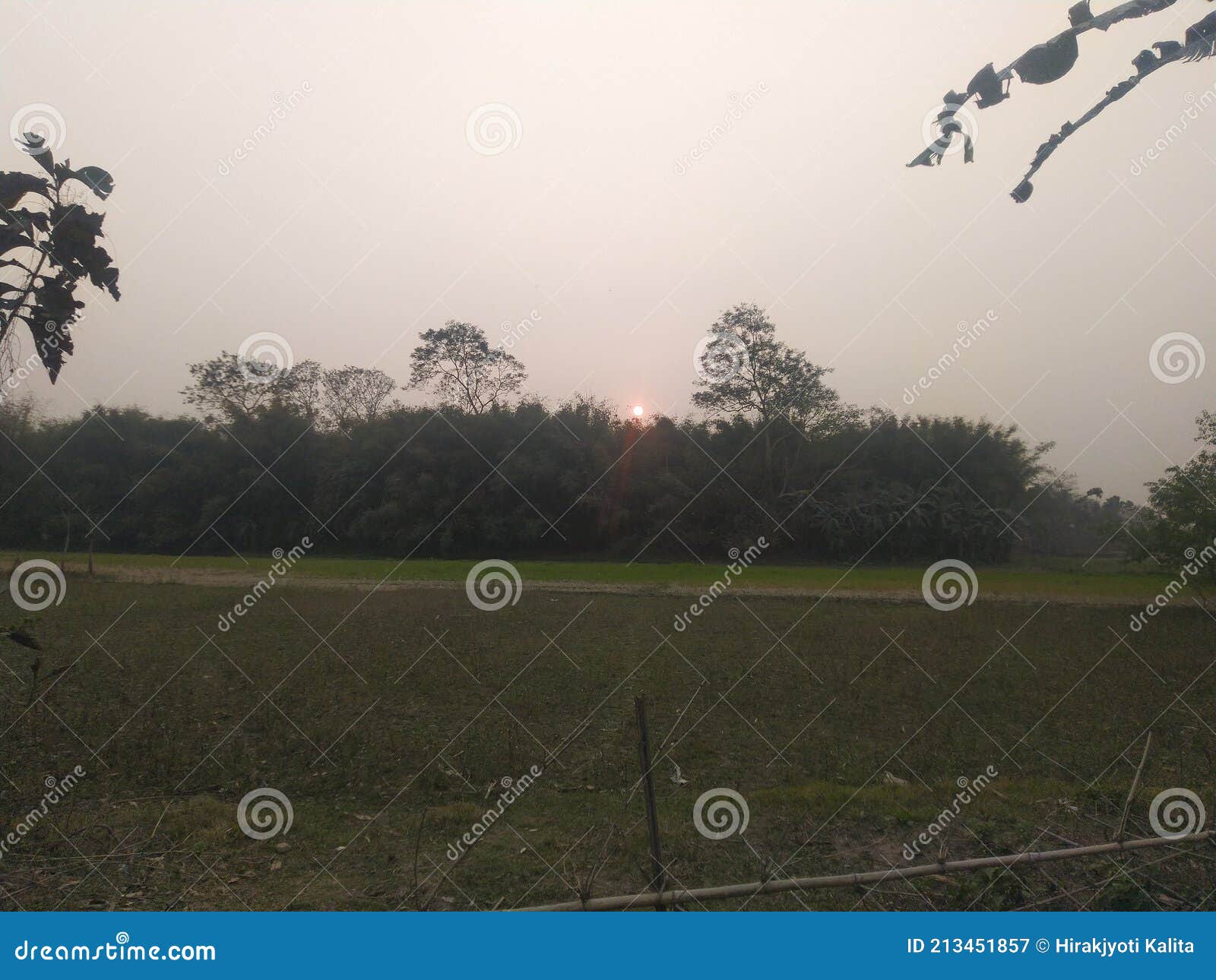 Natural Image of Assam in India Stock Image - Image of india, beautiful ...