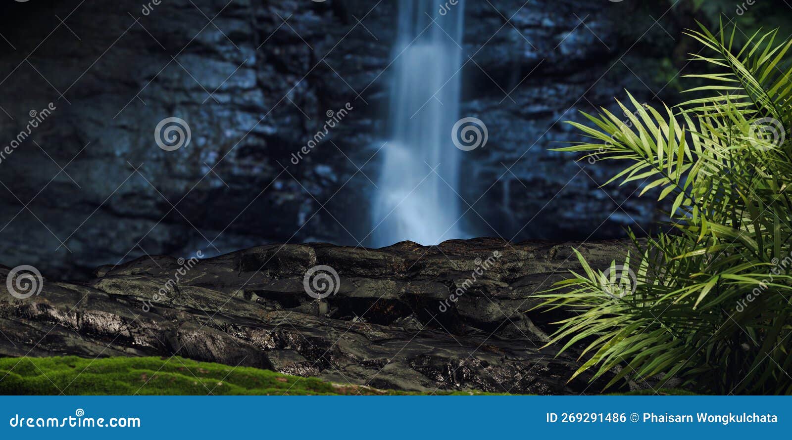 Natural Image Consisting of Trees and Rocks with Shadows Falling on ...