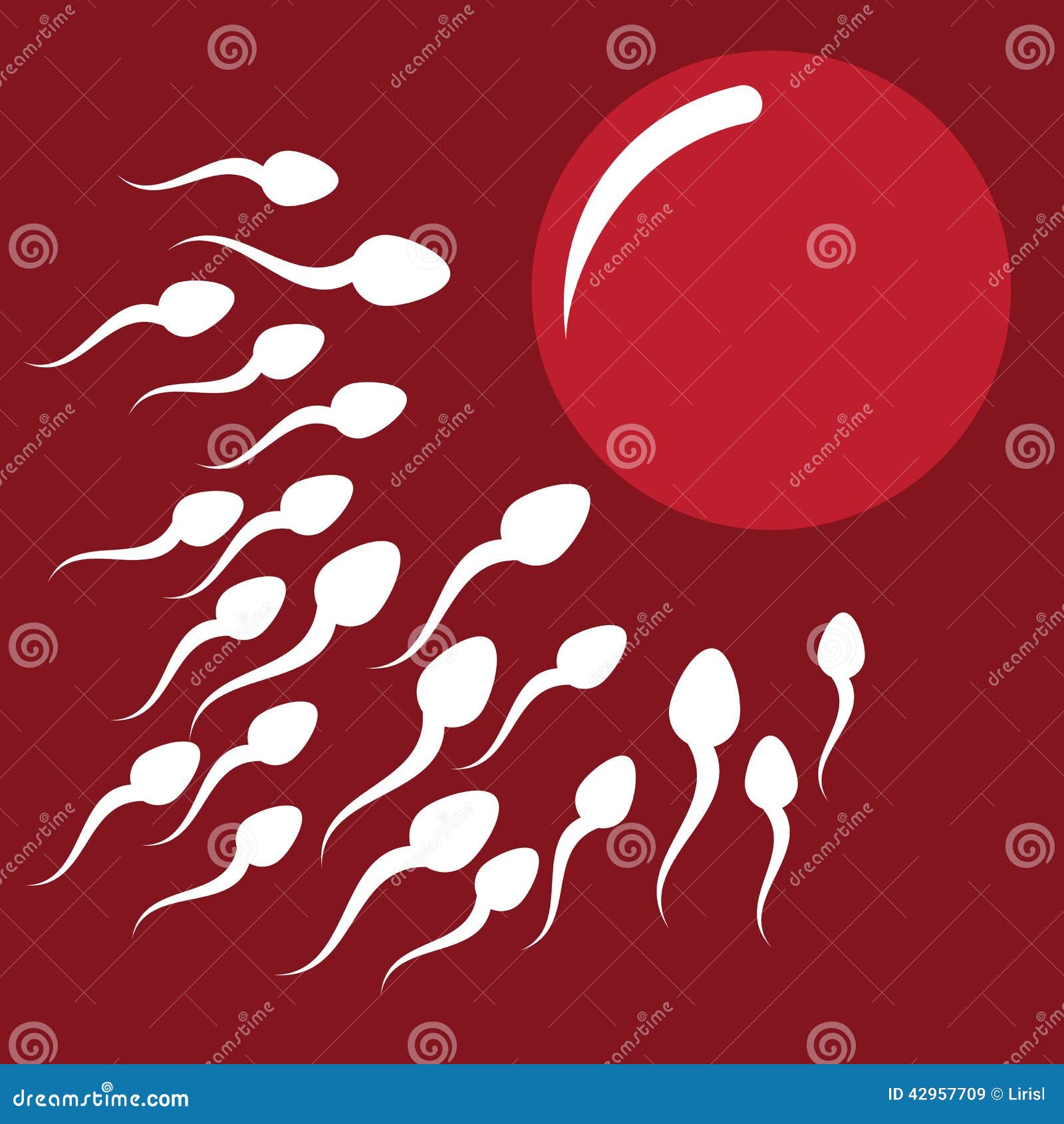 Natural Insemination Sperm And Egg Cell Stock Vector Illustration Of