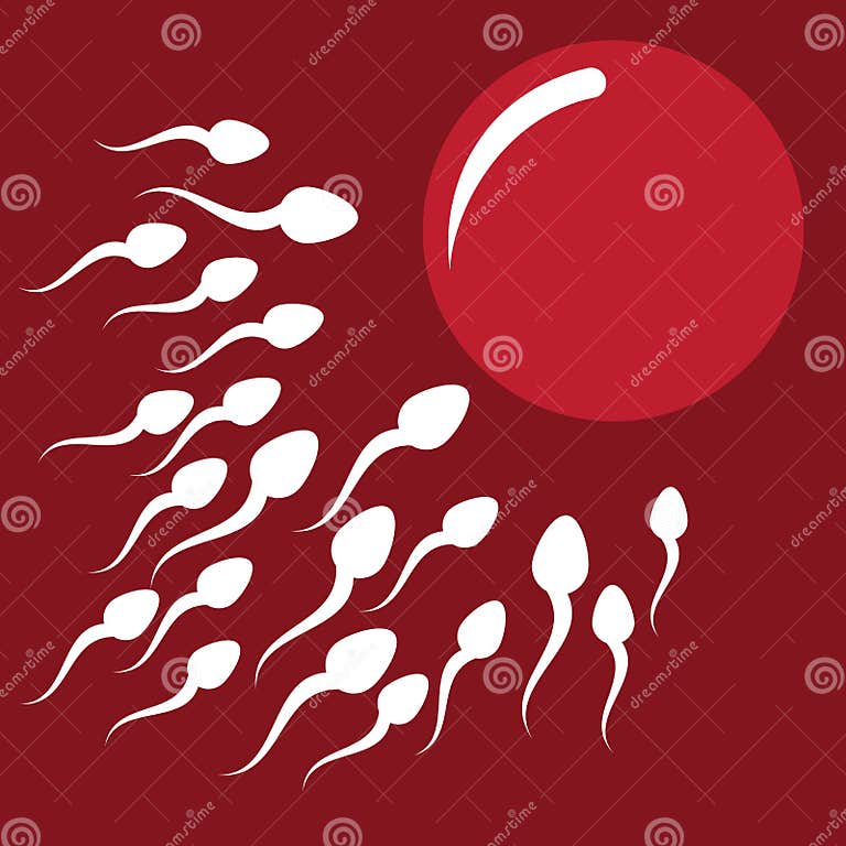 Natural Insemination: Sperm and Egg Cell Stock Vector - Illustration of ...