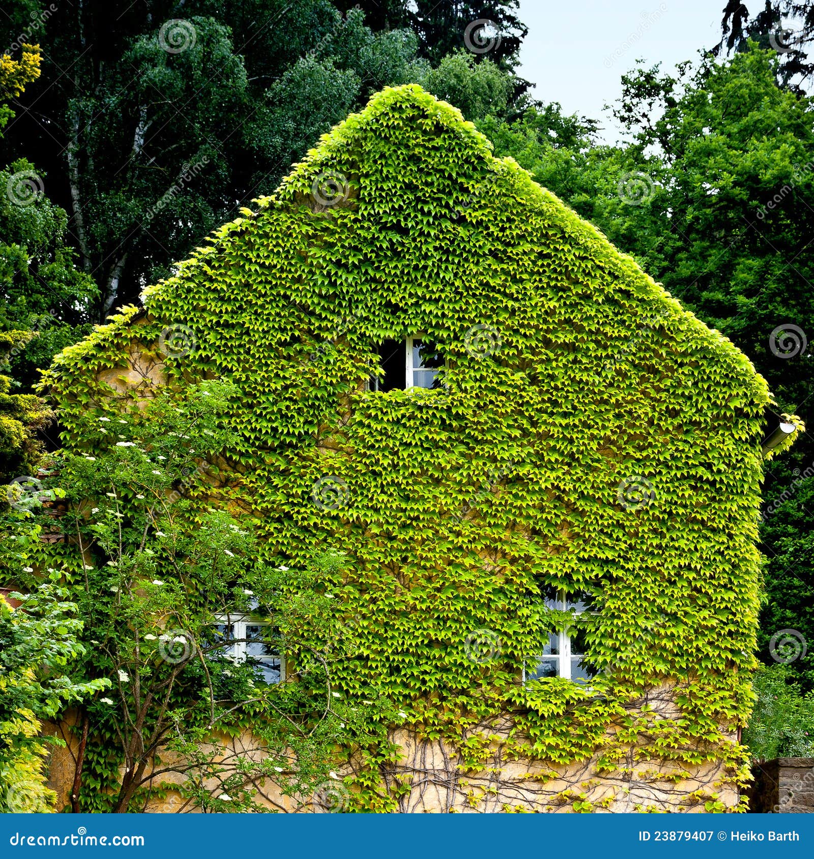 Natural insulation stock image. Image of costs, exterior - 23879407