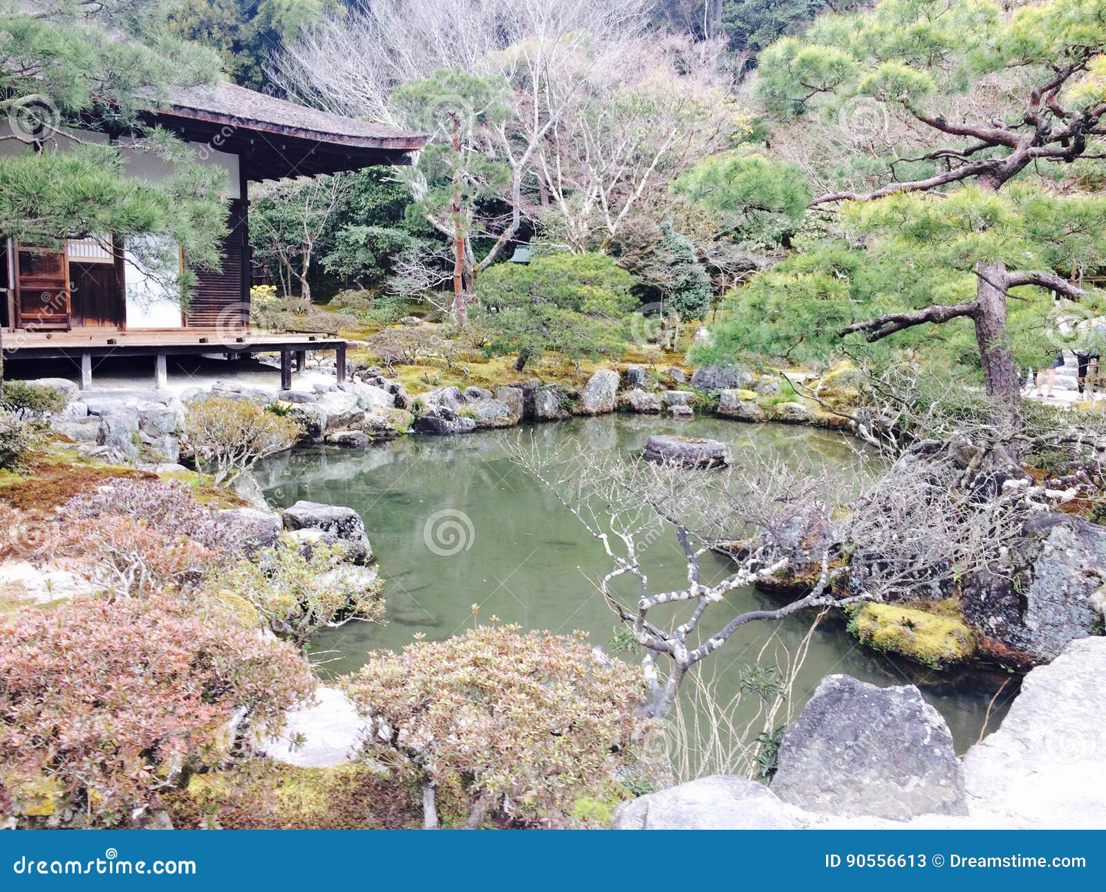Natural Japan Tree and Pond Stock Image - Image of tree, japan: 90556613