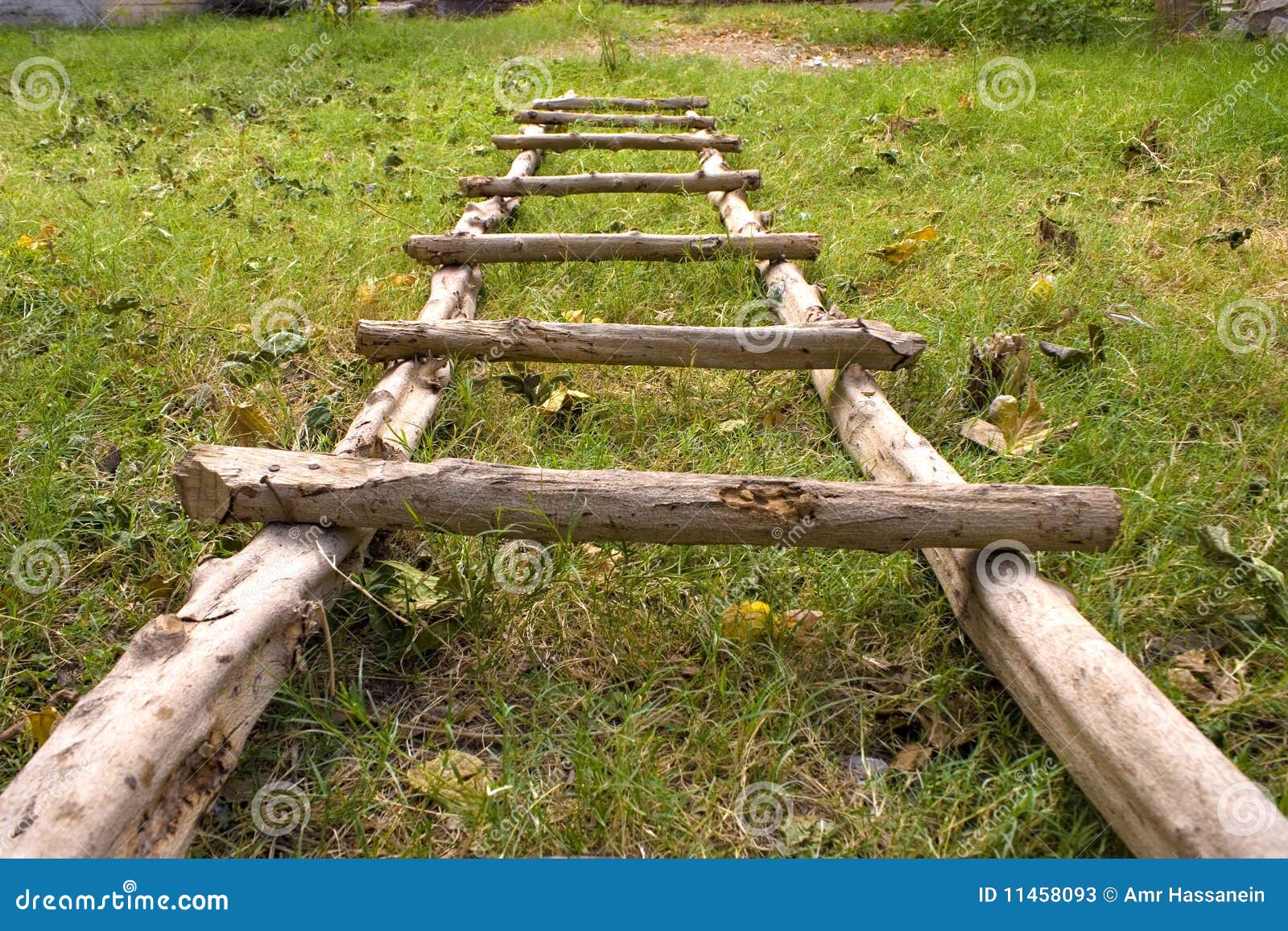 Natural Ladder stock image. Image of stepladder, ground - 11458093