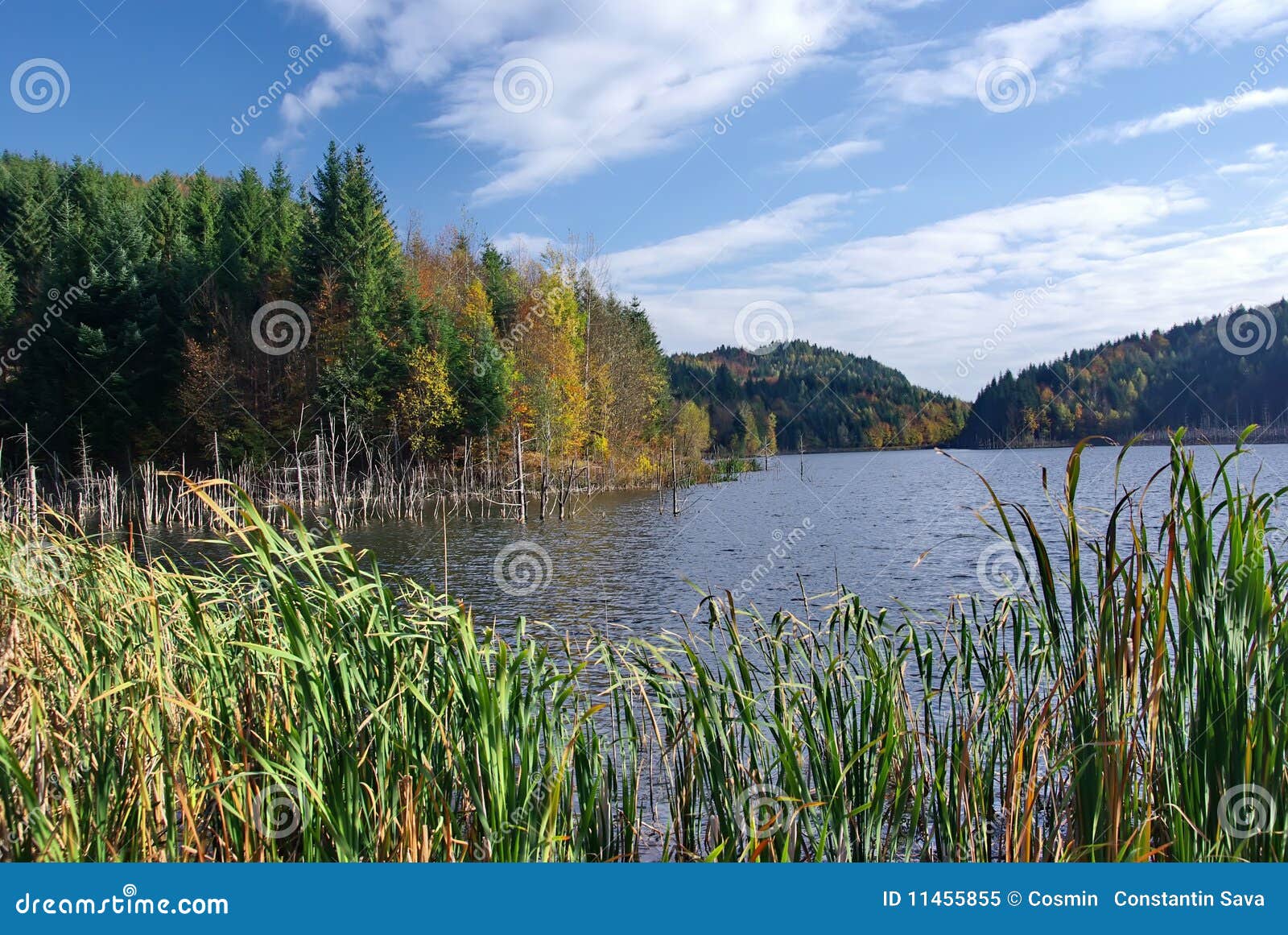 Natural Lake in the Mountains Stock Image - Image of autumnal, trees ...
