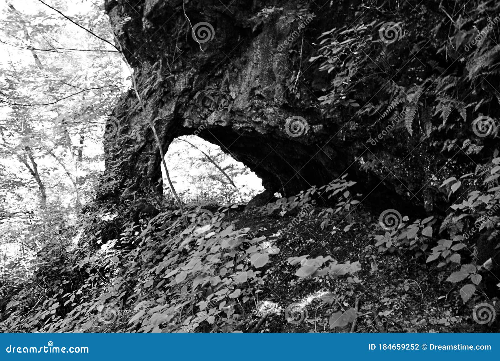 Arch stock photo. Image of woods, natural, land, arch - 184659252