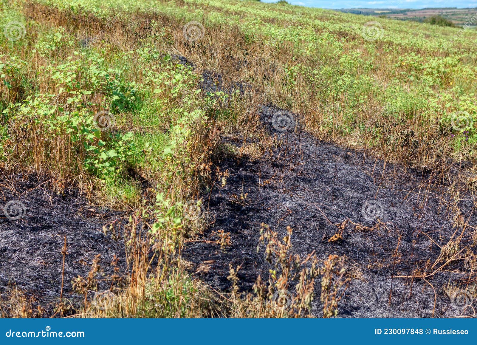 Natural Land Burned By Fire Stock Photography | CartoonDealer.com ...