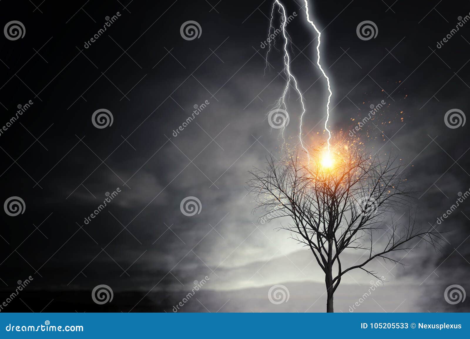Bright Lightning Hit the Tree Stock Image - Image of evening, energy ...