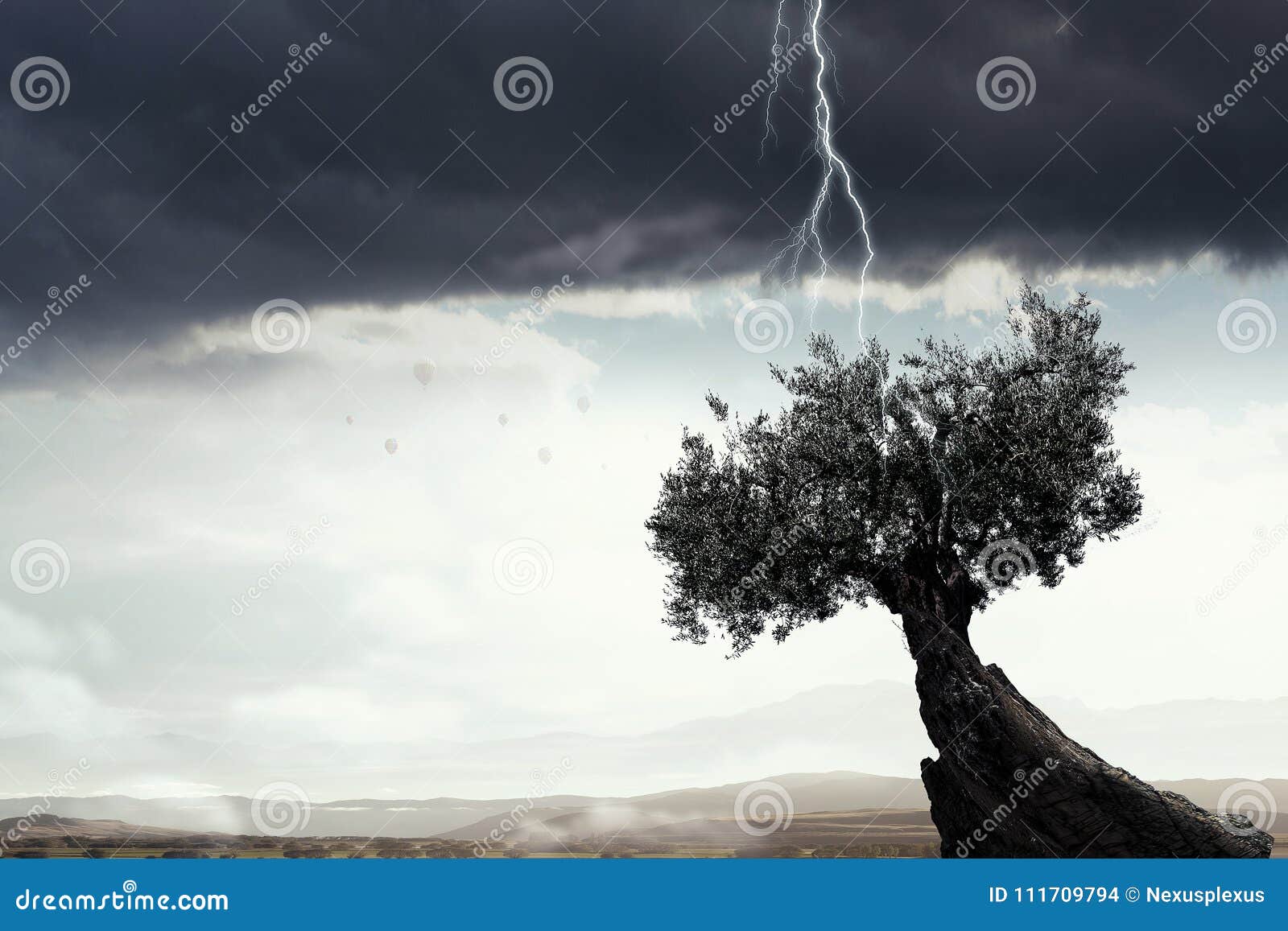Bright Lightning Hit the Tree Stock Photo - Image of evening ...