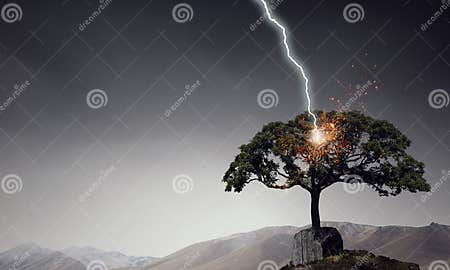 Bright Lightning Hit the Tree Stock Photo - Image of cloud, tree: 112164944