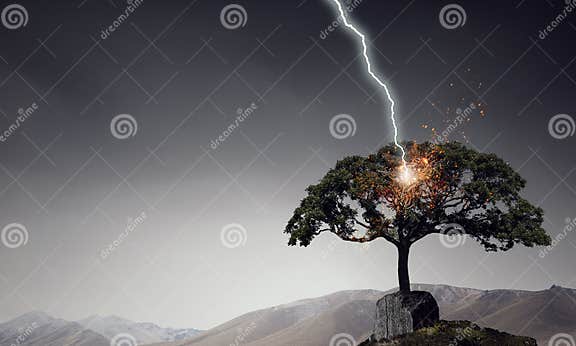Bright Lightning Hit the Tree Stock Photo - Image of cloud, tree: 112164944