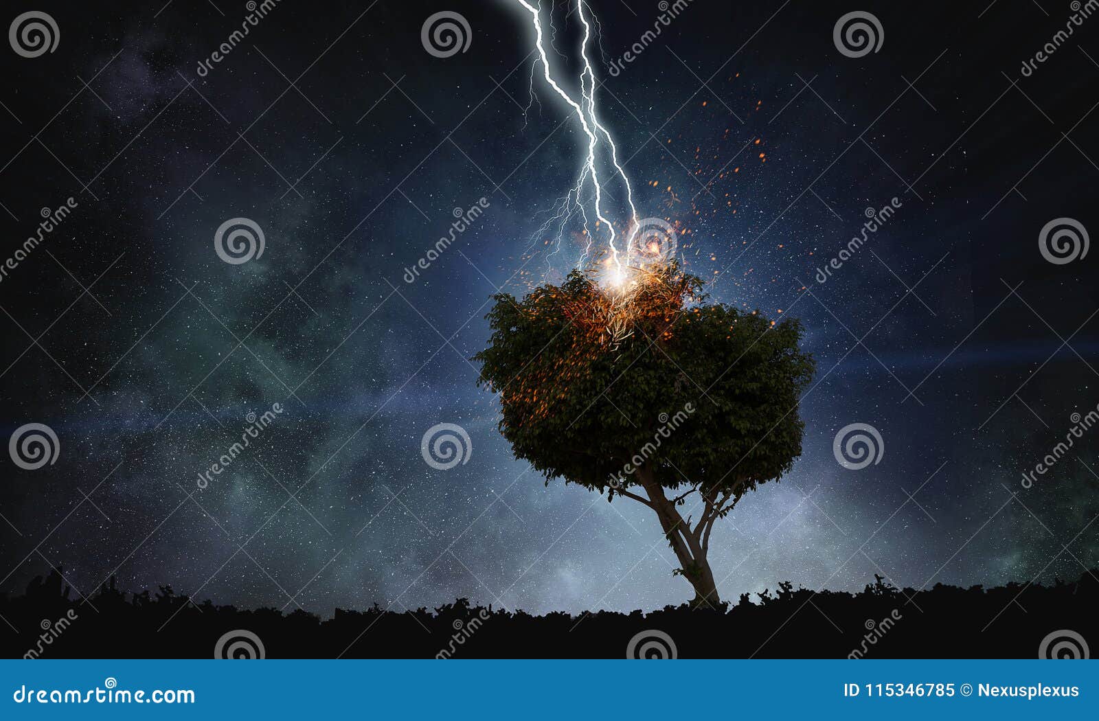 Bright Lightning Hit the Tree Stock Image - Image of field, electricity ...