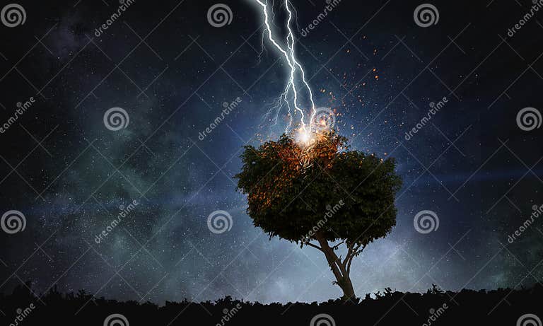 Bright Lightning Hit the Tree Stock Image - Image of field, electricity ...