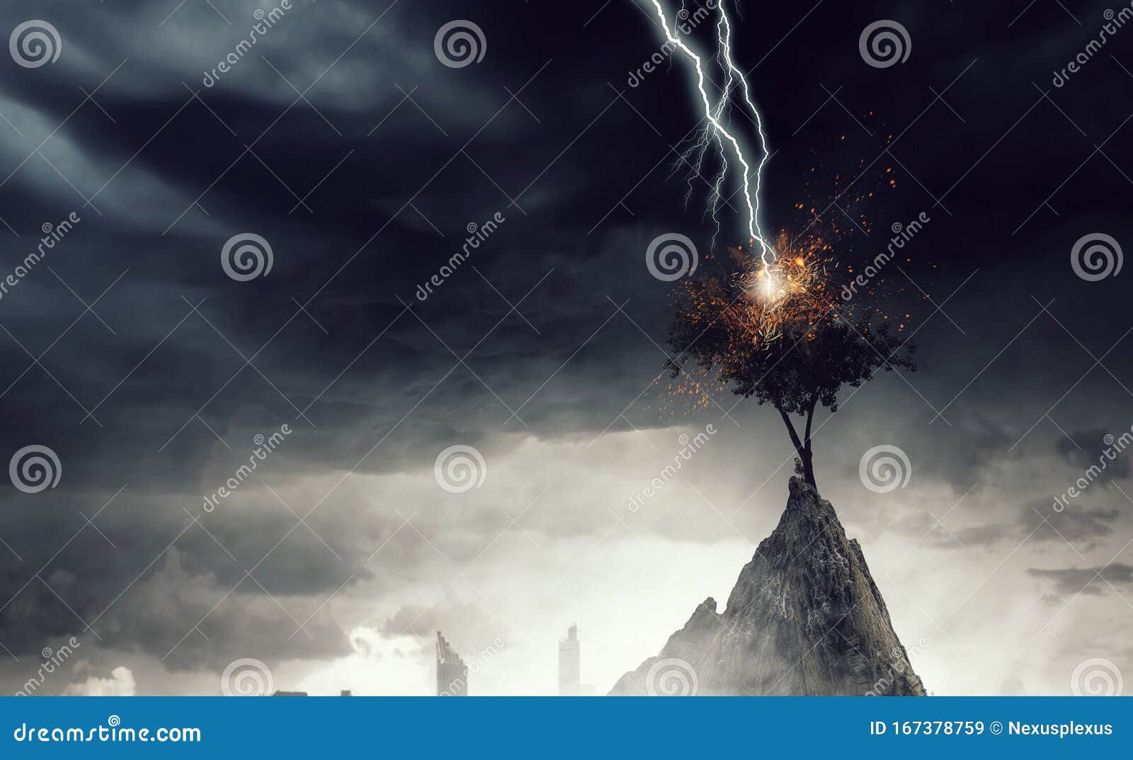 Bright Lightning Hit the Tree Stock Image - Image of storm, lightning ...