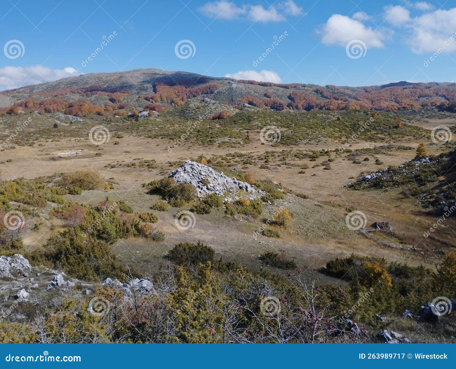 Natural Landscape of a Hill Stock Image - Image of natural, hill: 263989717