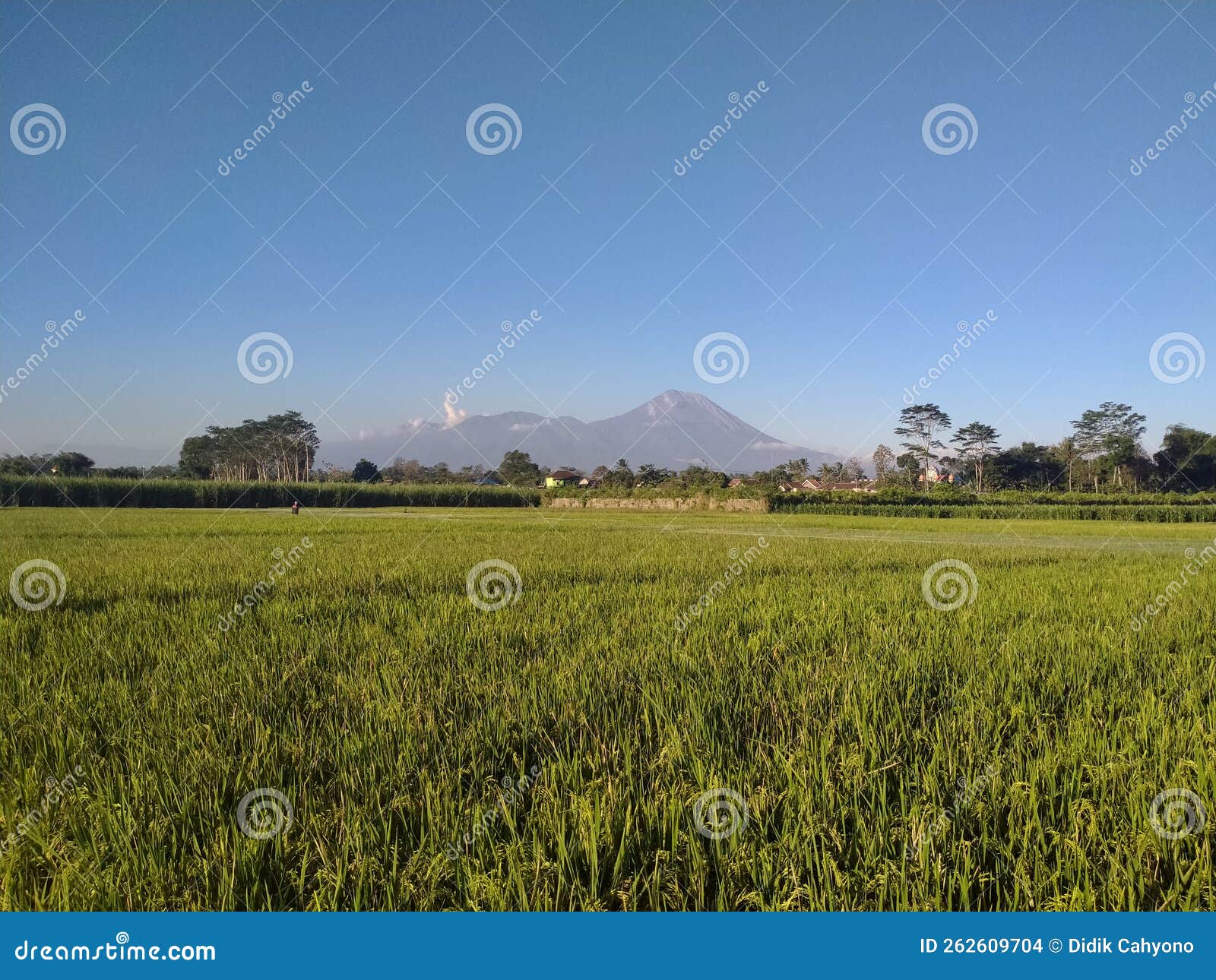 Natural Landscape in Malang Regency, East Java Stock Photo - Image of ...