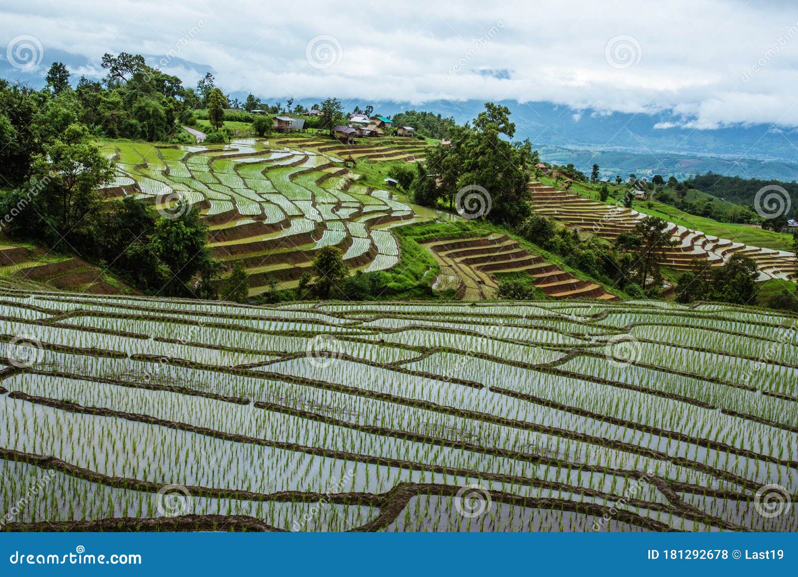 Natural Landscape, Mountain Rice Fields Stock Photo - Image of asia ...