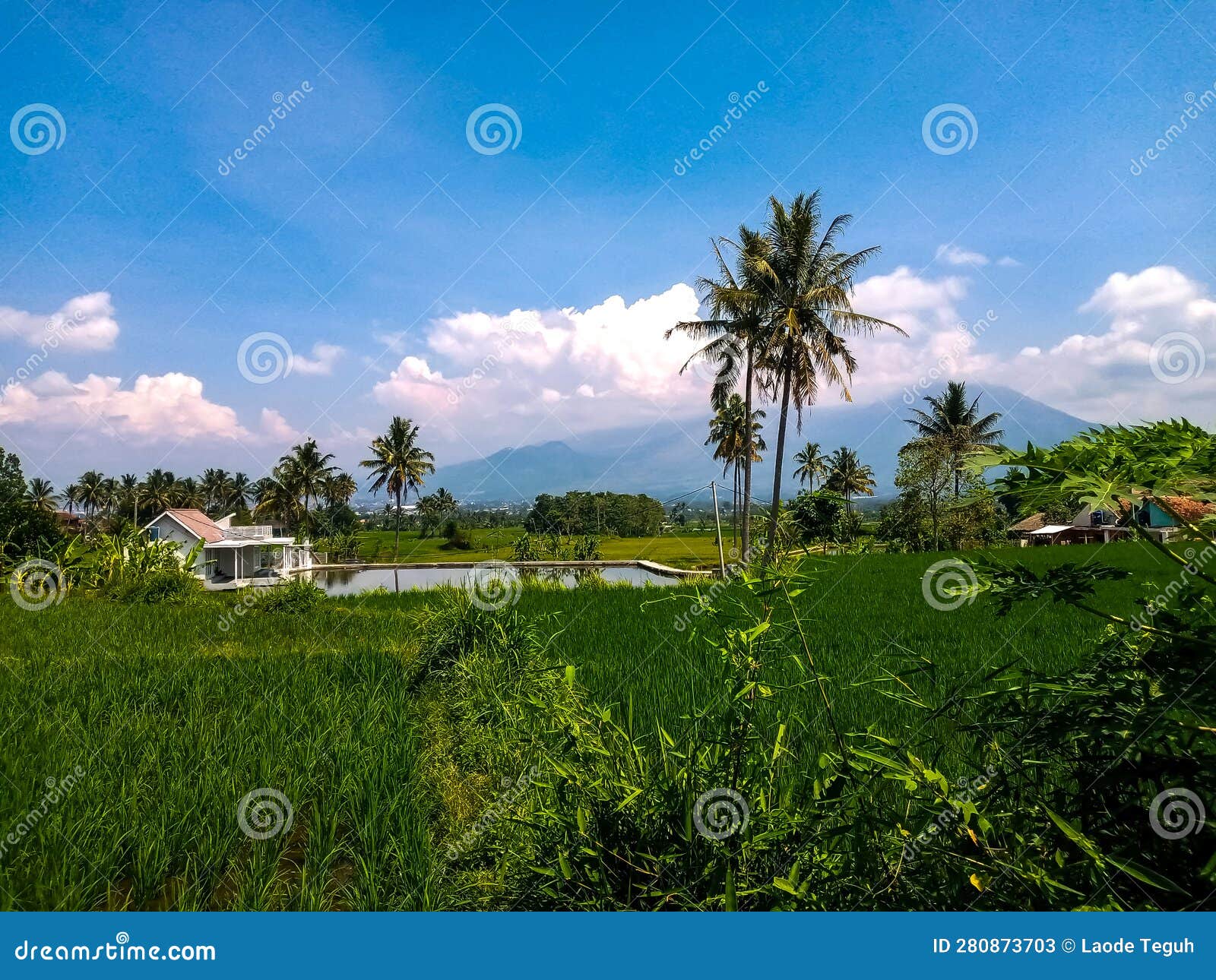 Natural Landscape of the Mountains in Rural Garut, West Java, Indonesia ...