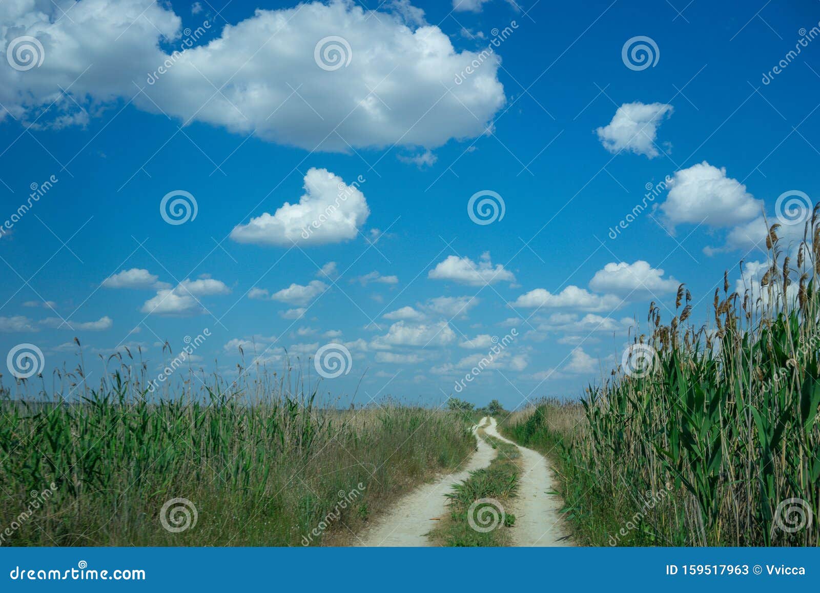 Natural Landscape Overlooking the Road among the Reeds Stock Image ...