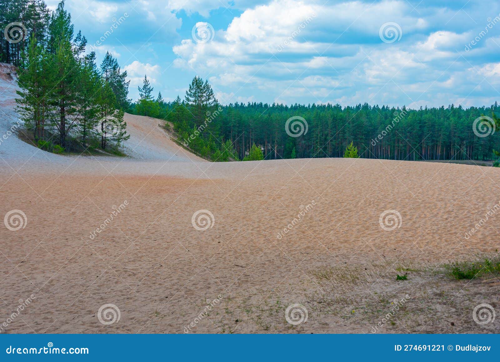 Natural Landscape of Piusa Caves in Estonia Stock Image - Image of ...