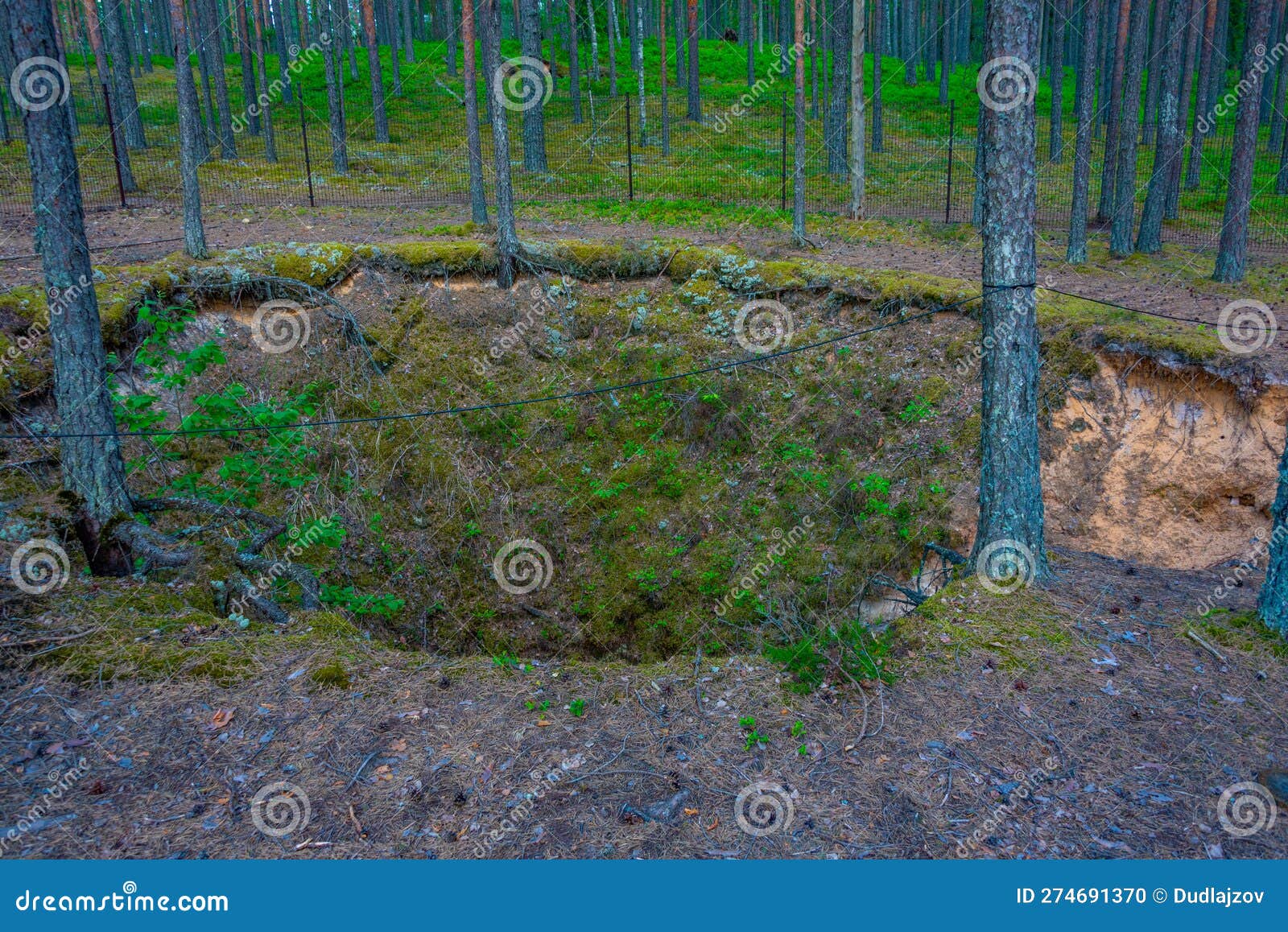 Natural Landscape of Piusa Caves in Estonia Stock Photo - Image of ...