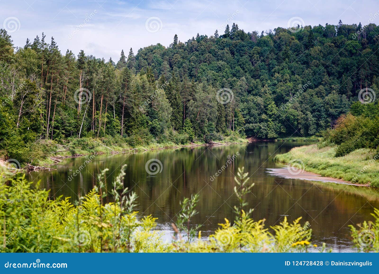 Natural Landscape with River and Forests Stock Photo - Image of ...