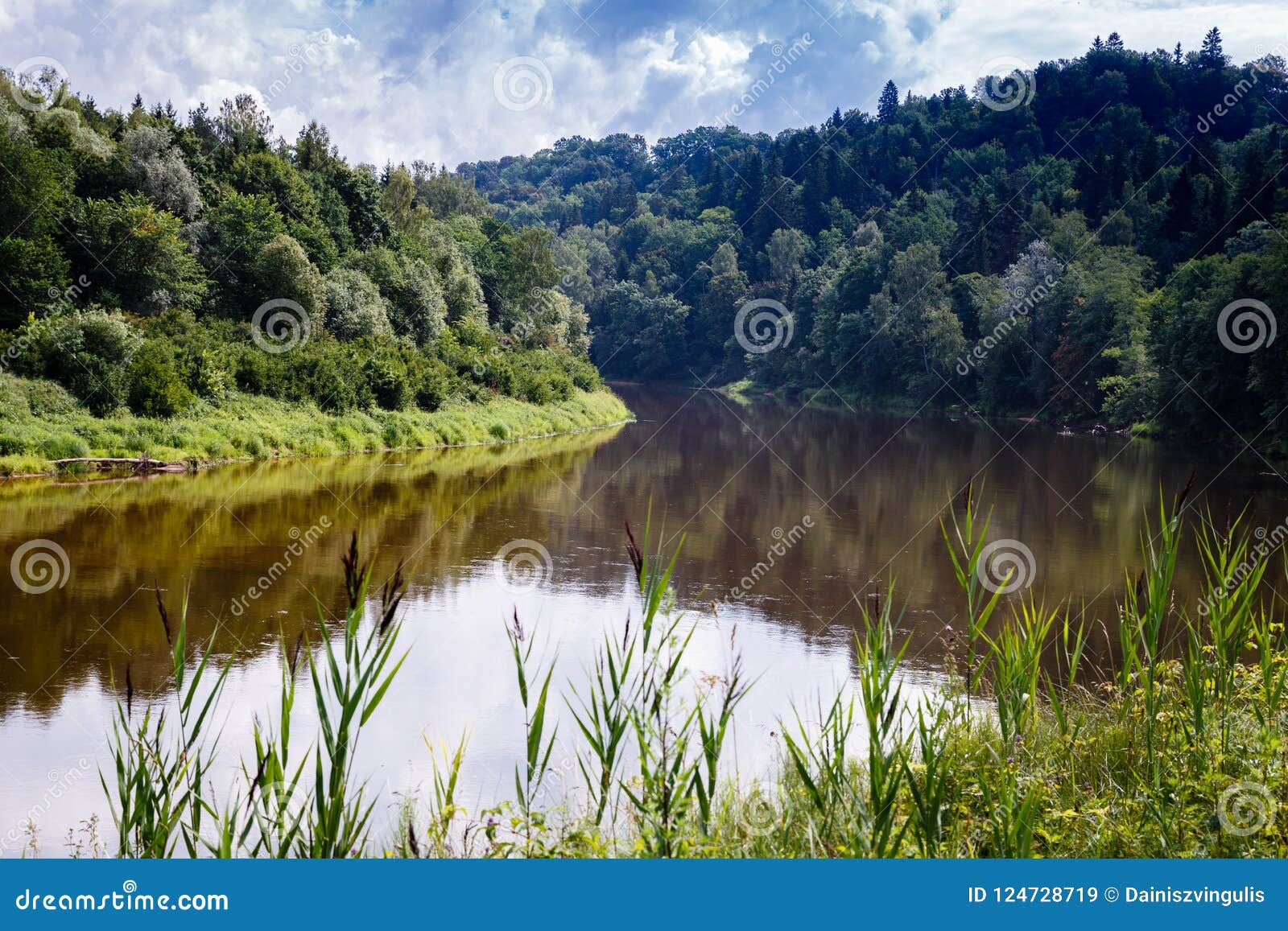 Natural Landscape with River and Forests Stock Image - Image of ...