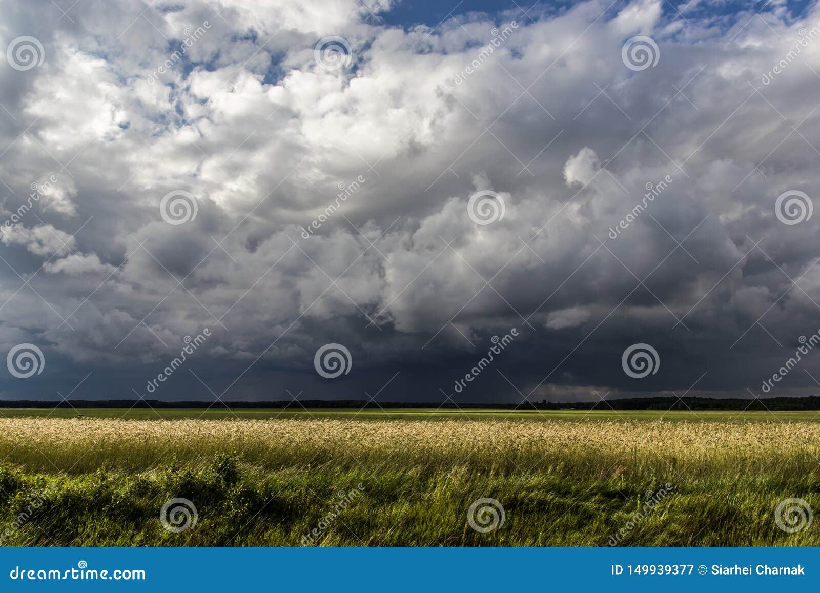 Natural Landscape with Saturated Clouds in the Sky Stock Image - Image ...