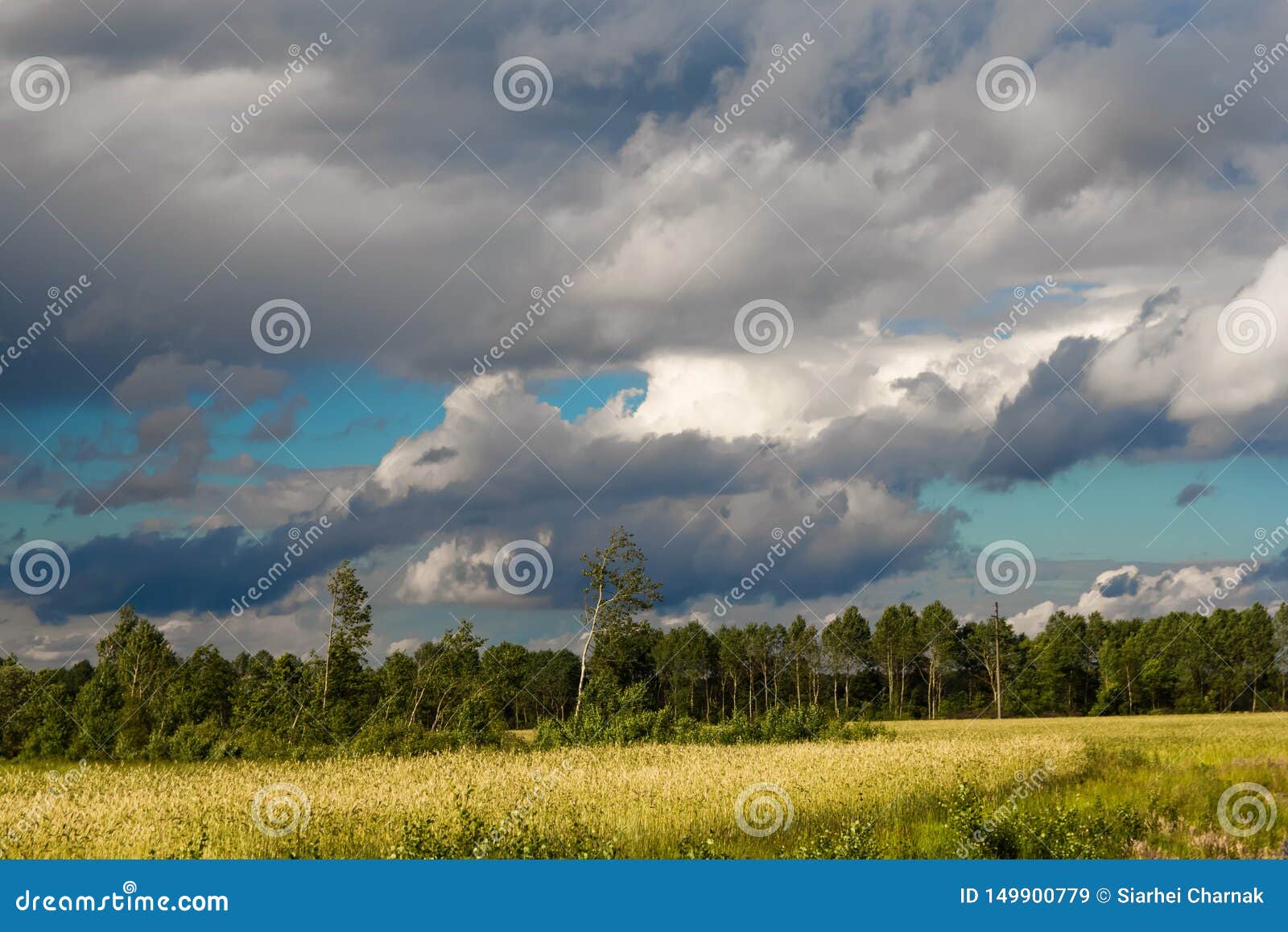 Natural Landscape with Saturated Clouds in the Sky Stock Image - Image ...