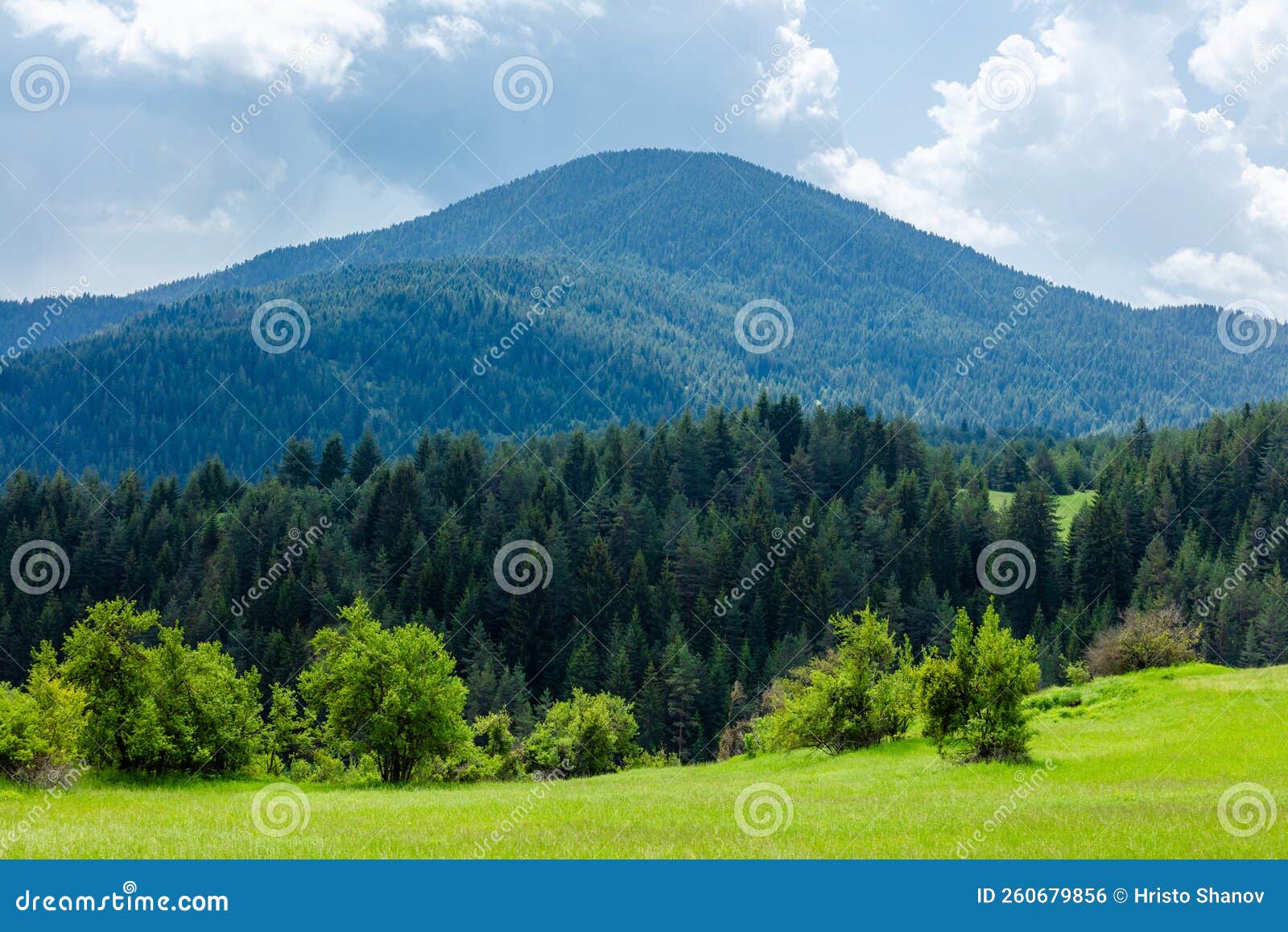 Natural Landscape Scene with Forest and Mountains Stock Photo - Image ...