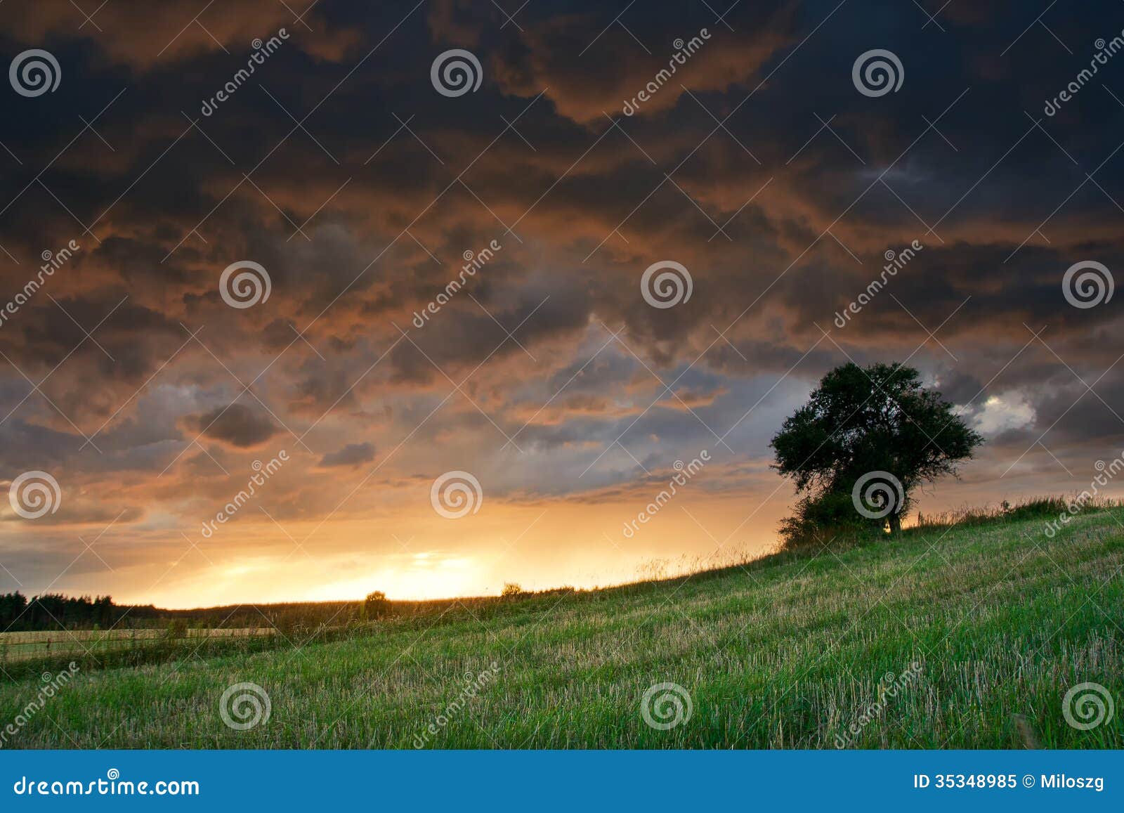 Natural Landscape with the Storm, Overcast Sky and Lonely Tree Stock ...