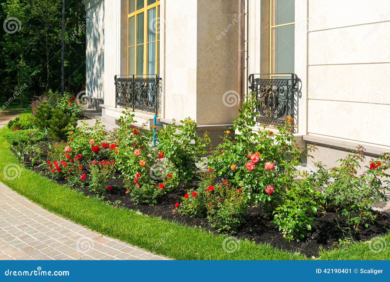Natural Landscaping in Home Garden Stock Image - Image of landscape ...