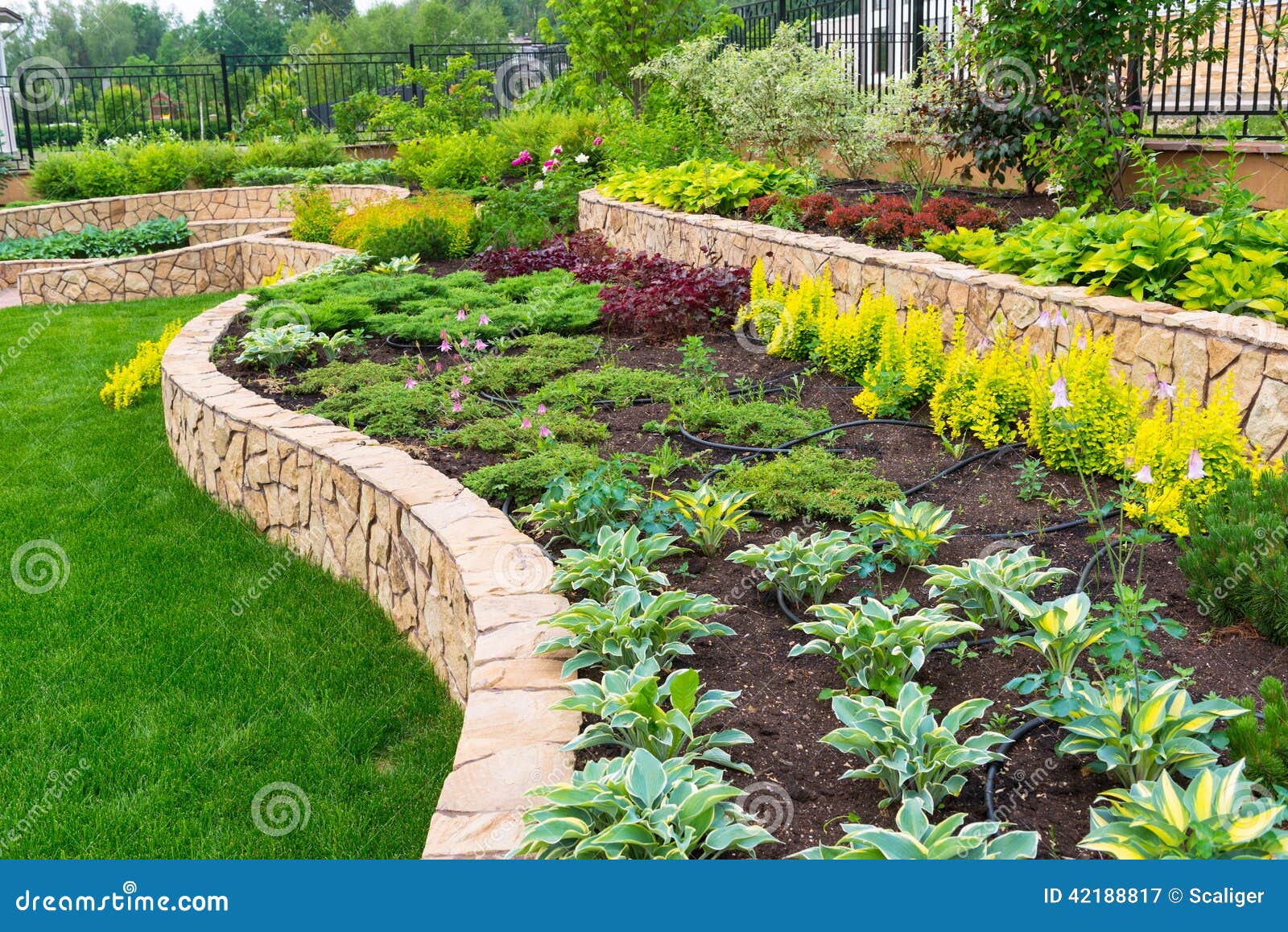 Natural Landscaping in Home Garden Stock Image - Image of horticulture ...