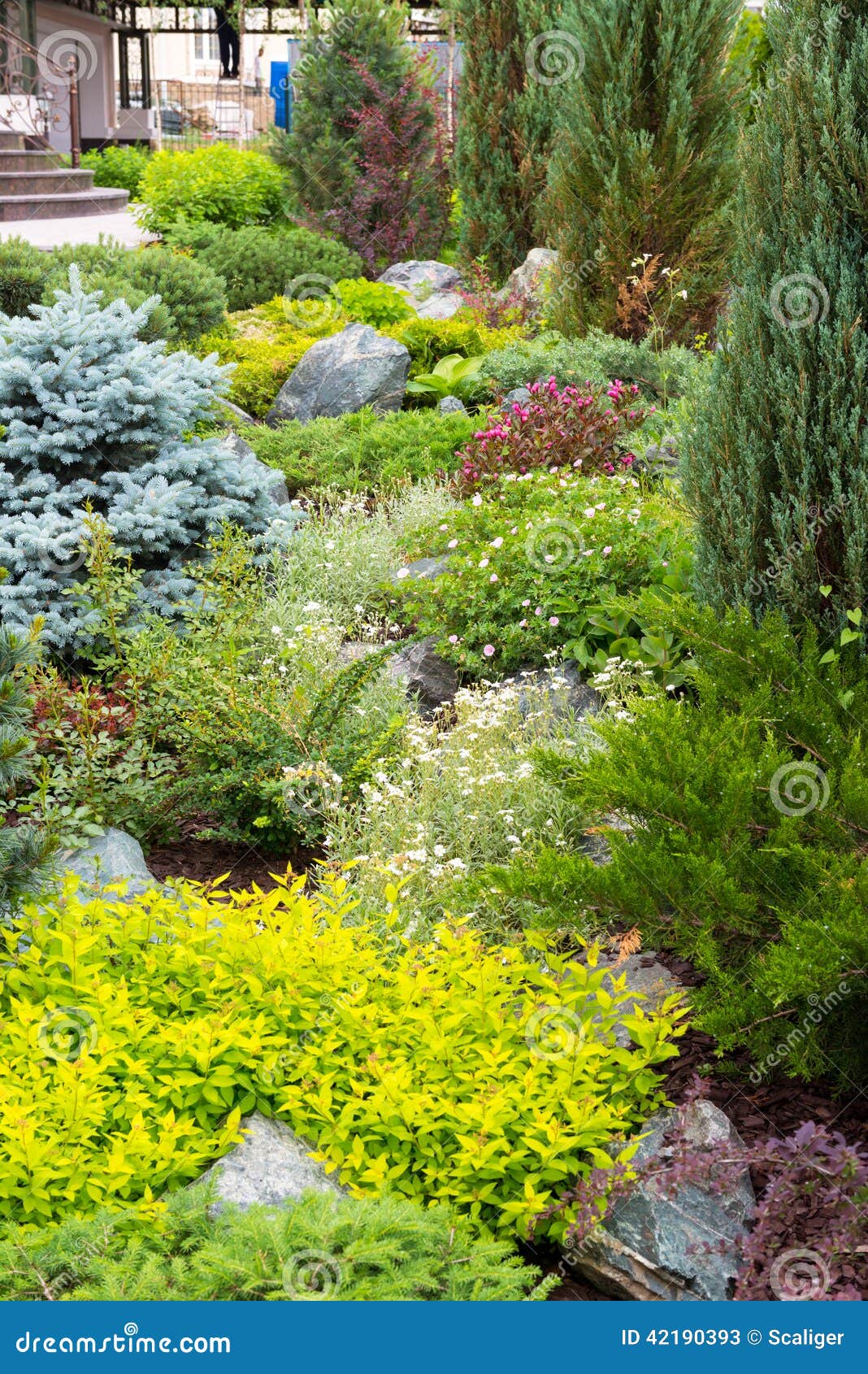 Natural Landscaping in Home Garden Stock Image - Image of bloom ...