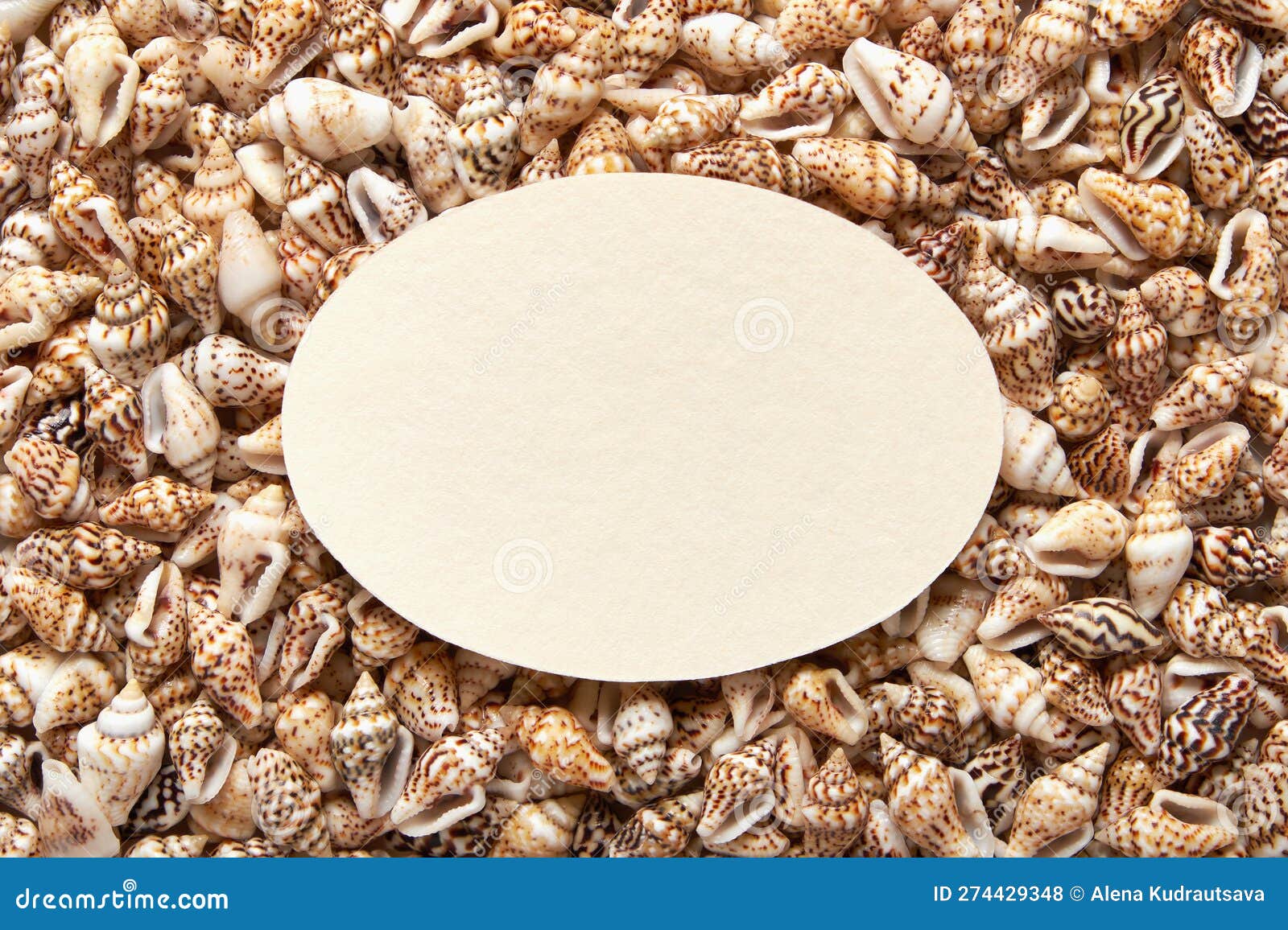 Natural Layout Made of Seashells and Paper Card Note Stock Photo ...