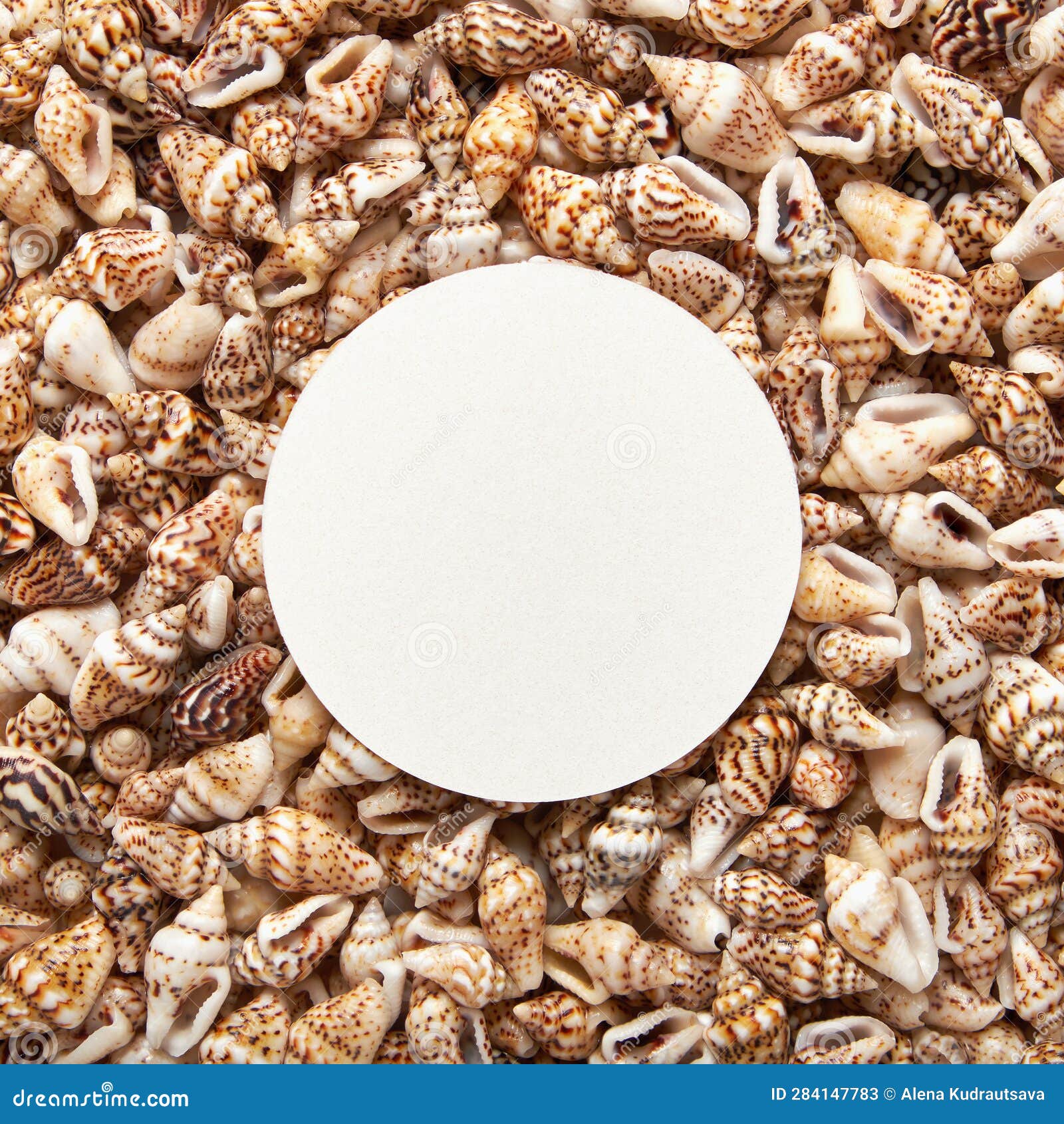 Natural Layout Made of Shells and Paper Card Note Stock Image - Image ...