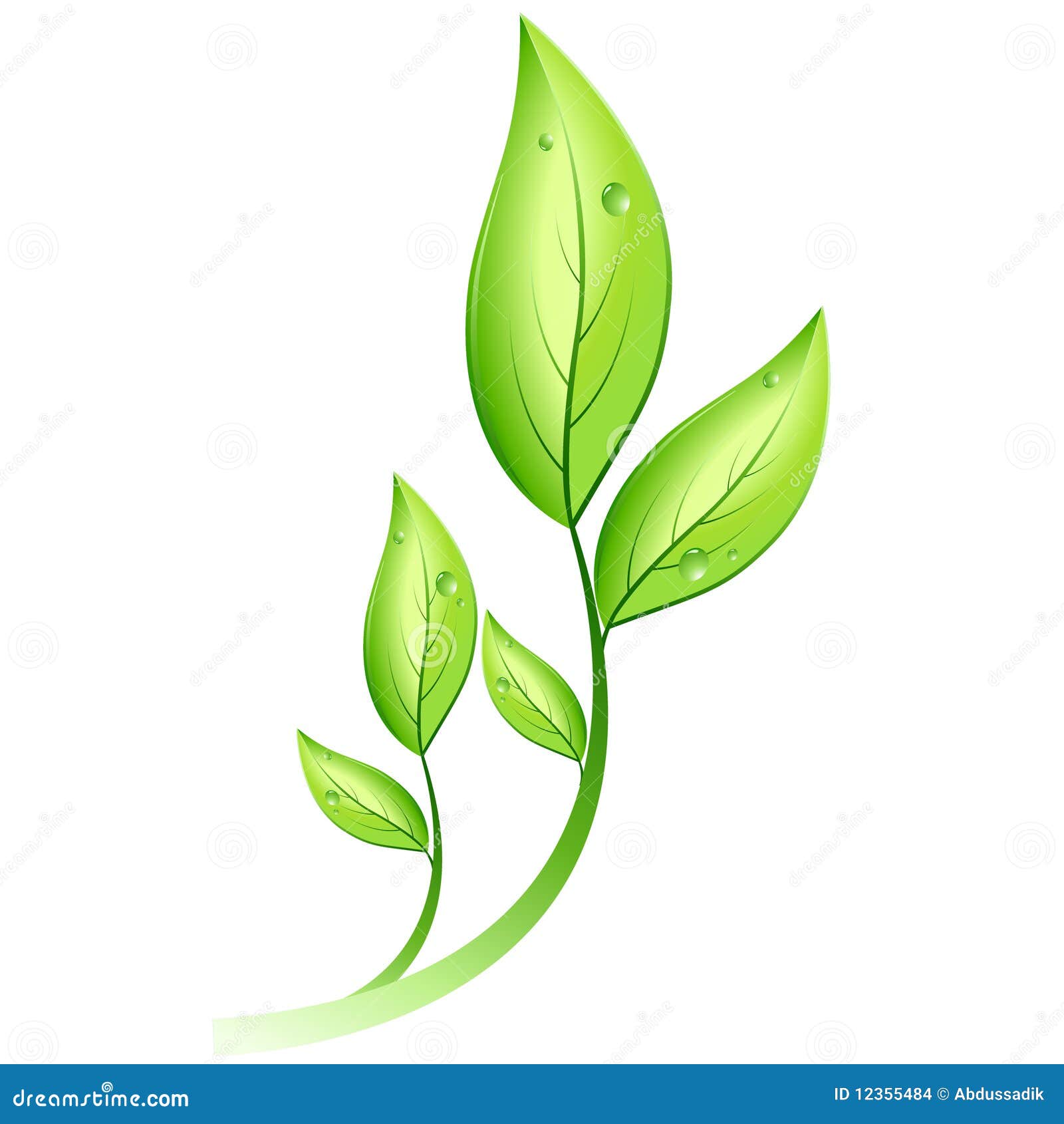 Natural leaf stock illustration. Illustration of droplet - 12355484