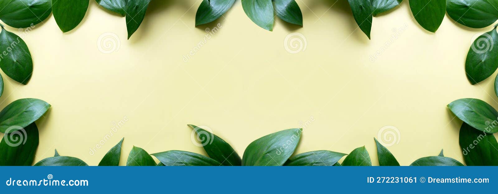 Natural leaf frame stock image. Image of frame, bright - 272231061