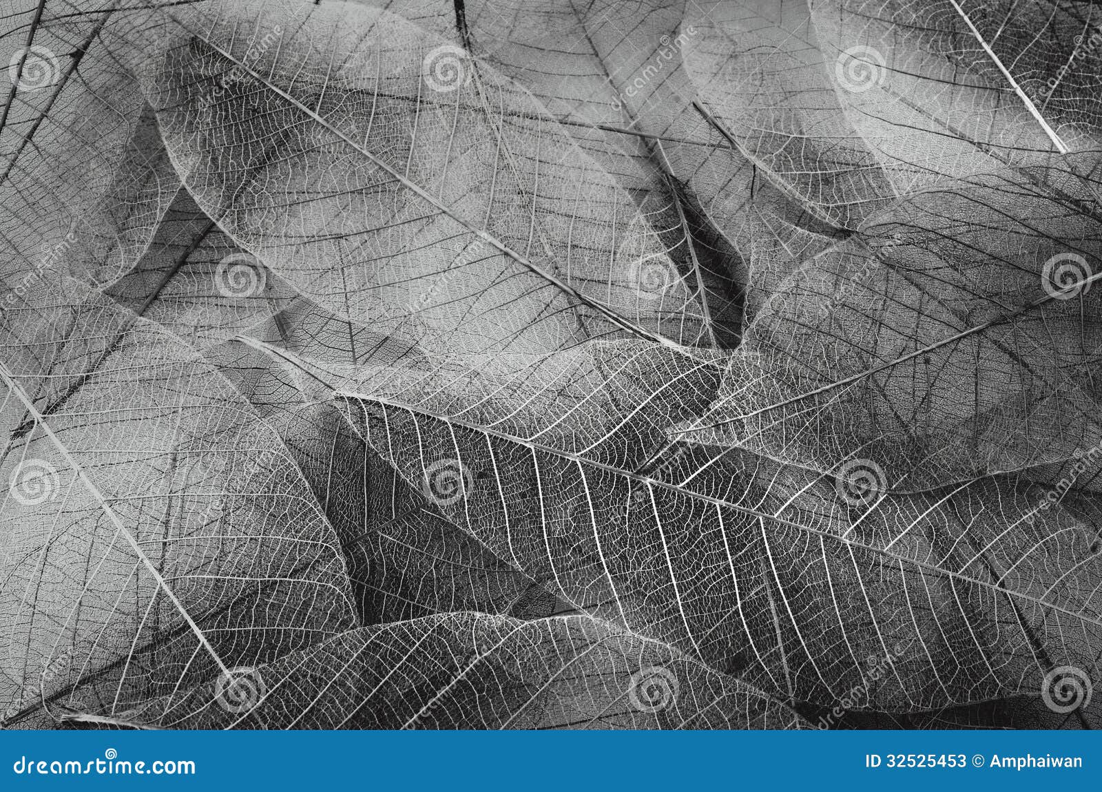 781,958 Natural Leaf Pattern Stock Photos - Free & Royalty-Free Stock ...