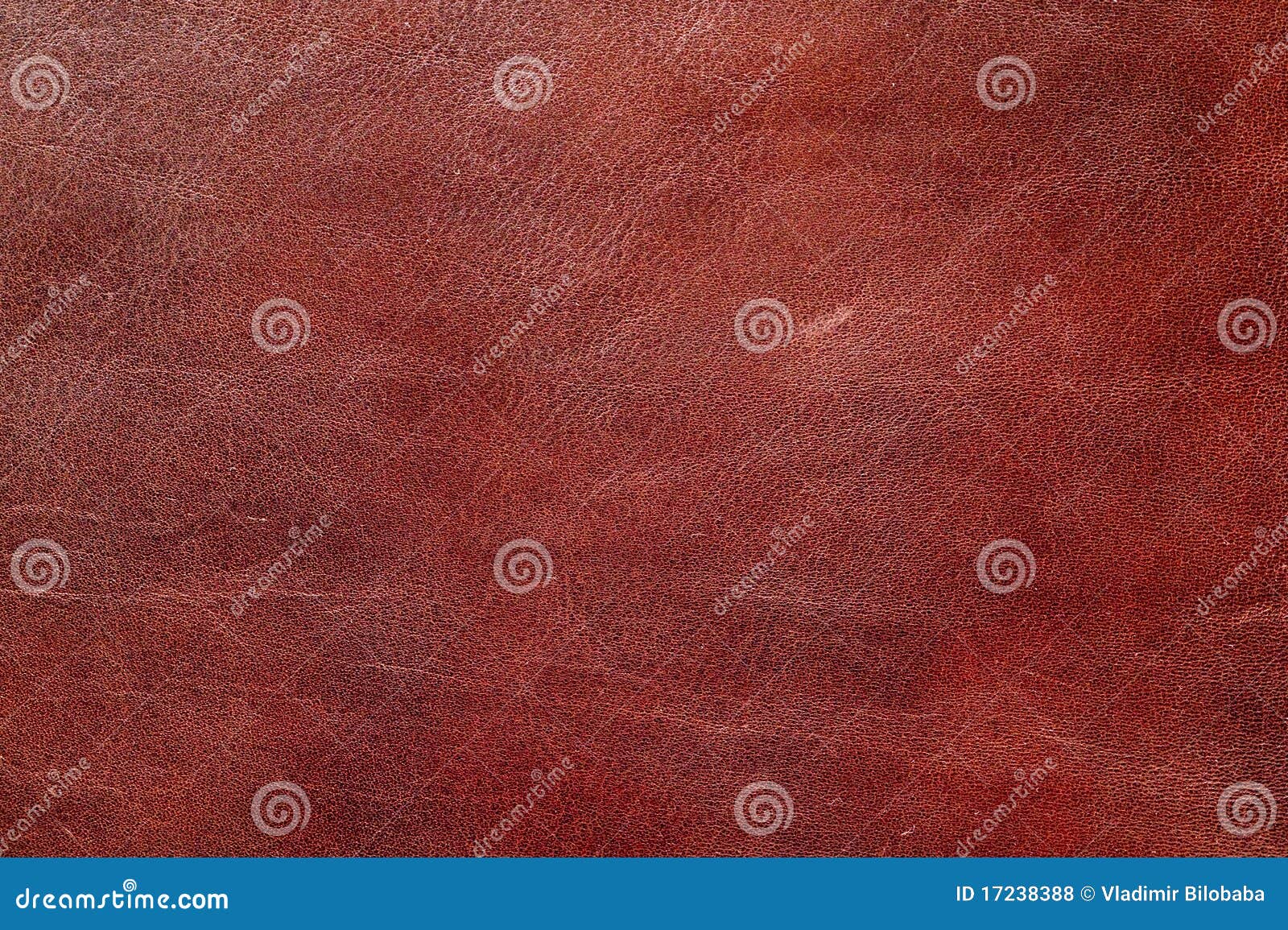 519 Processed Leather Photos - Free & Royalty-Free Stock Photos from ...