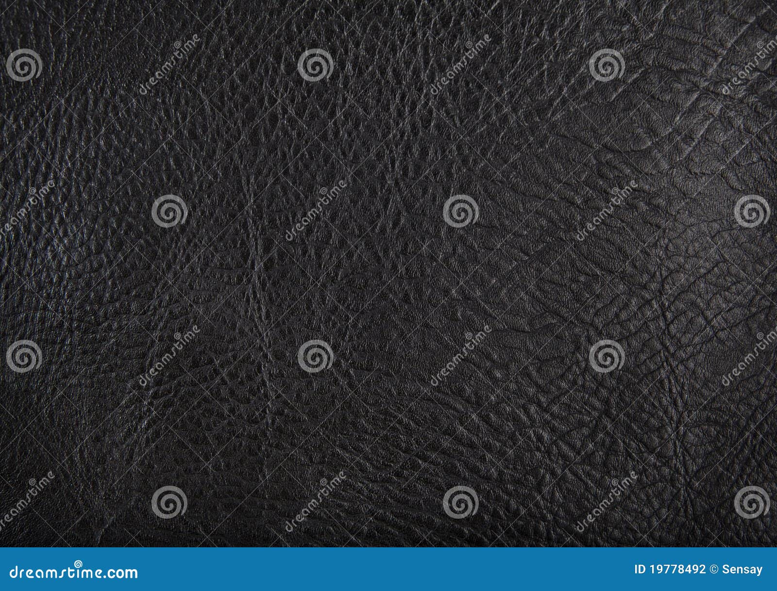 Natural leather pattern stock photo. Image of leather - 19778492