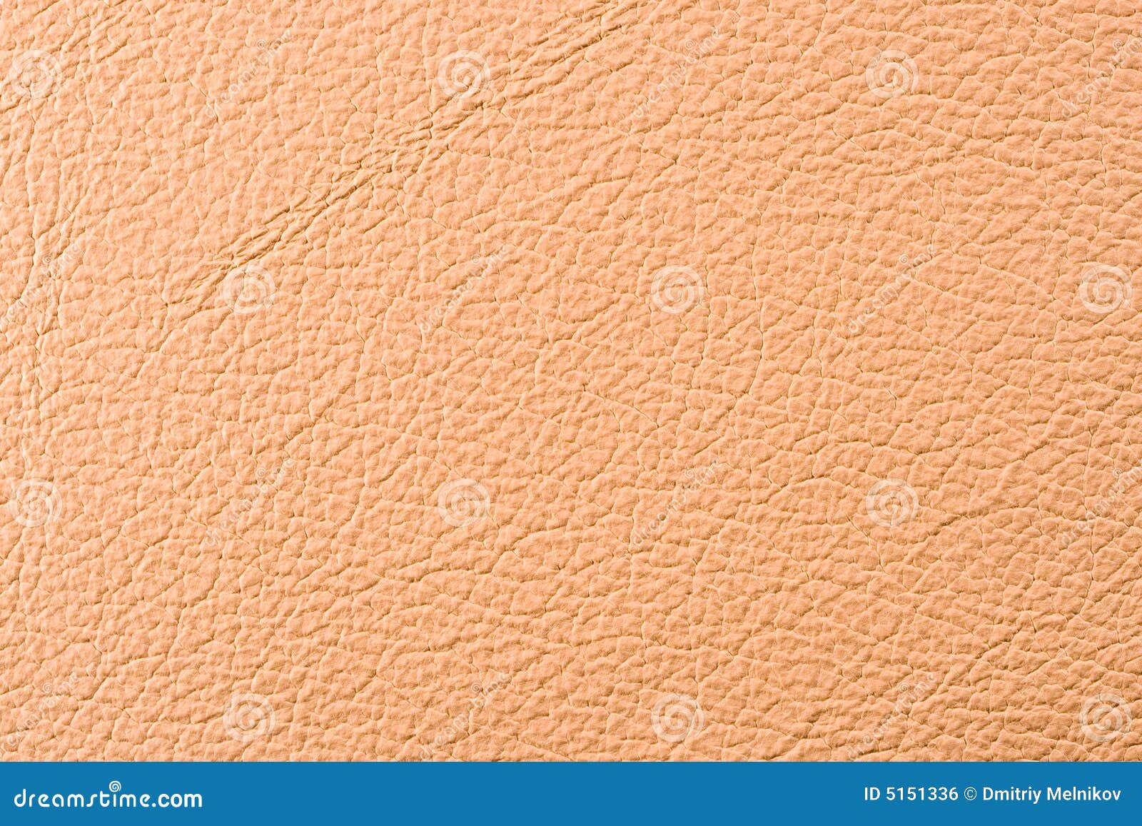 Natural Leather Texture Picture. Image: 5151336