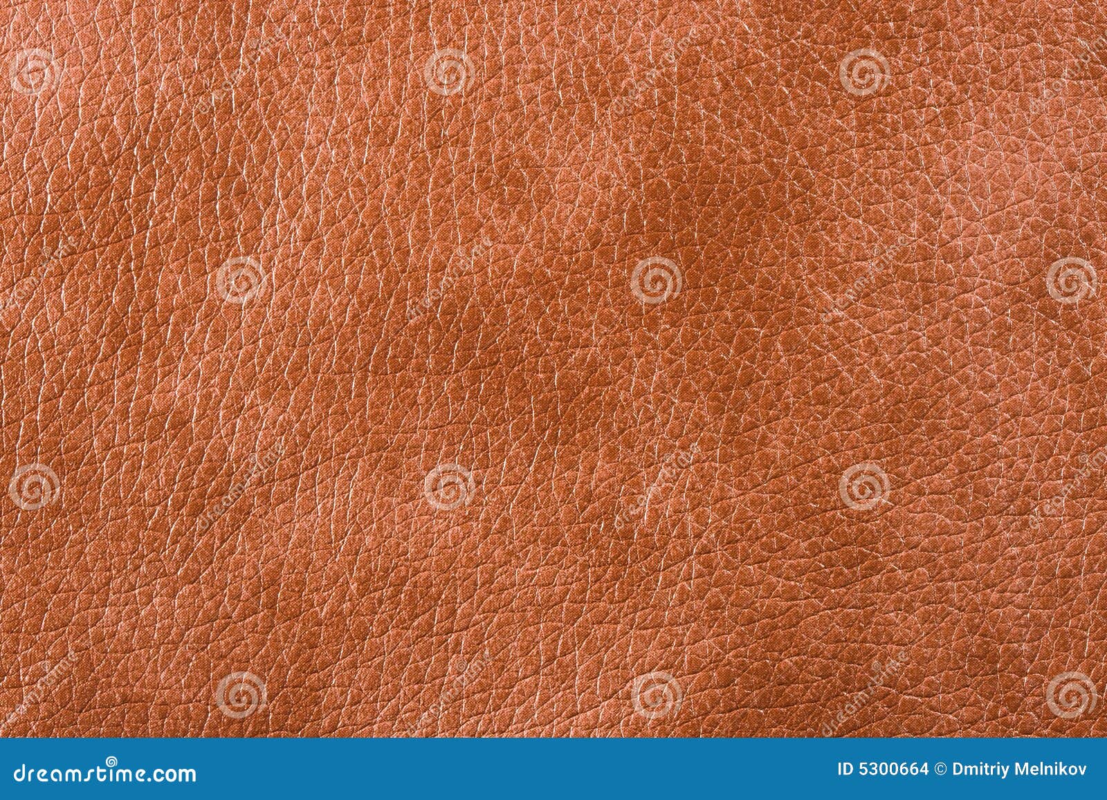 Natural leather texture stock photo. Image of texture - 5300664