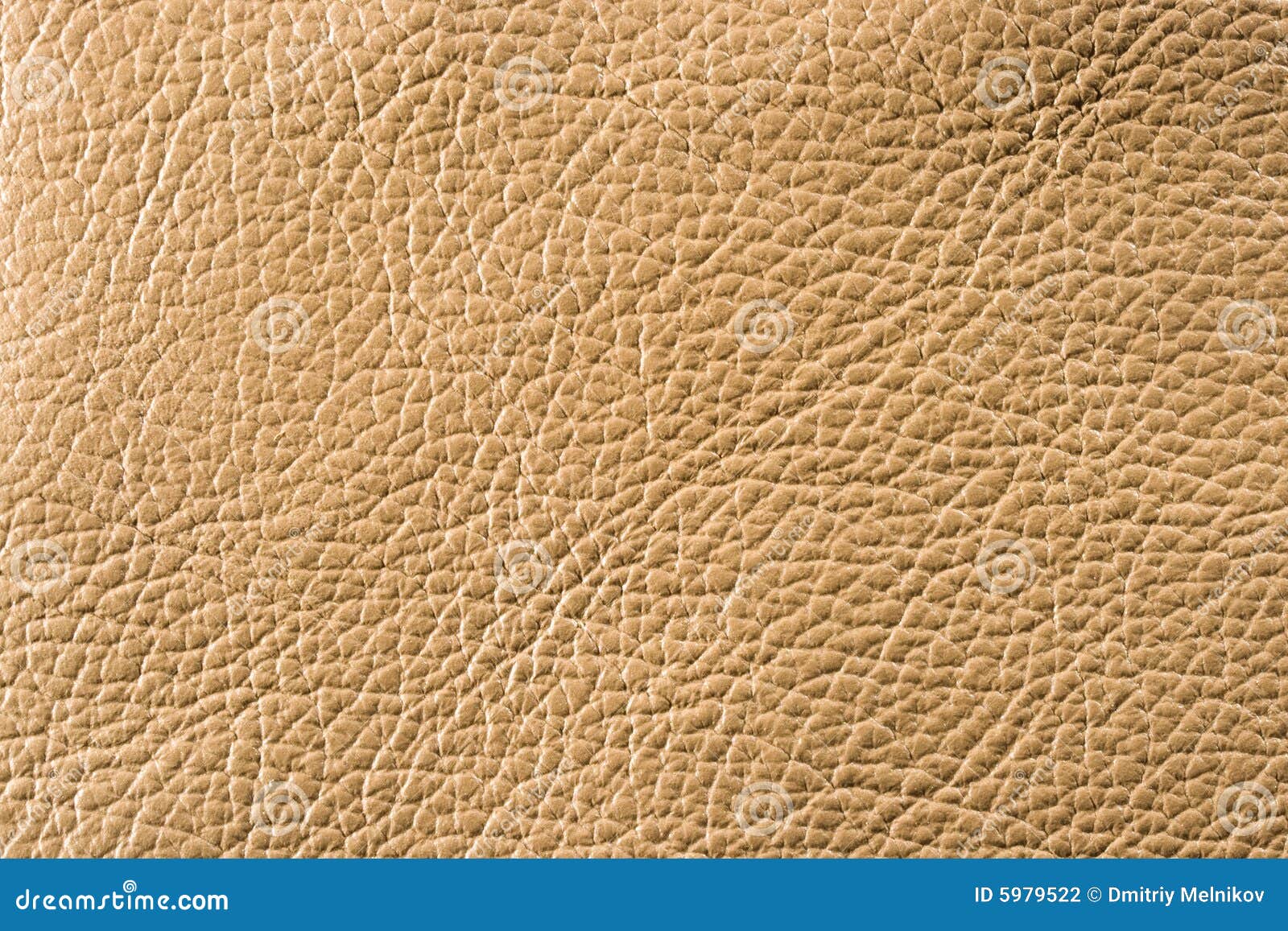 Natural leather texture stock photo. Image of fabric, surface - 5979522