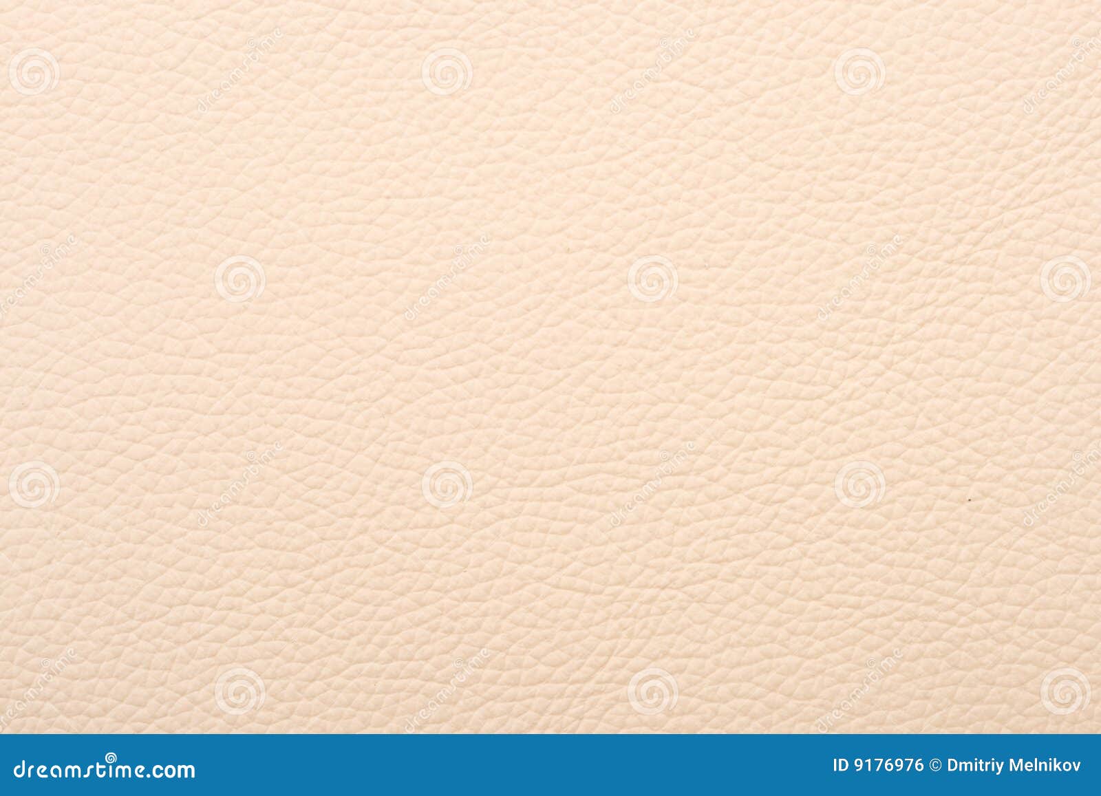 Natural leather texture stock photo. Image of upholstery - 9176976