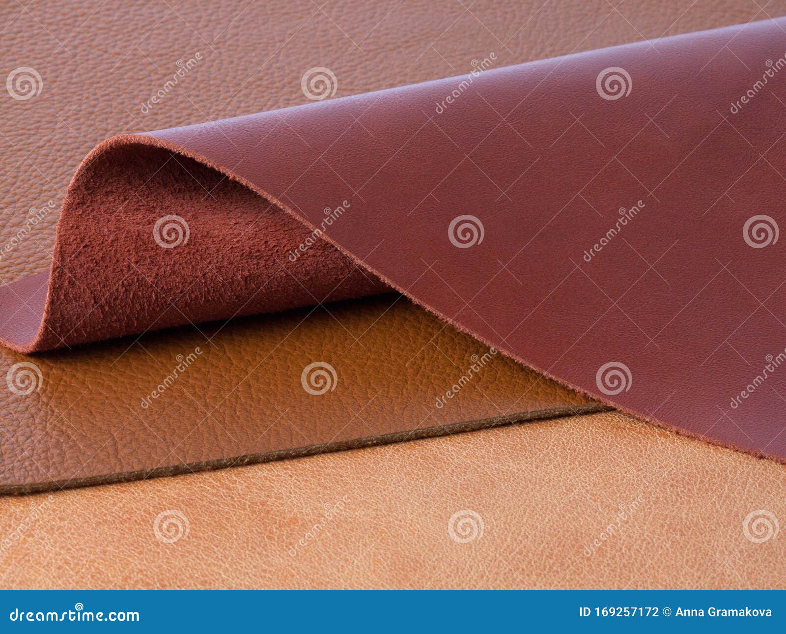 Natural Leather Textures Samples Stock Photo - Image of collage, scrap ...
