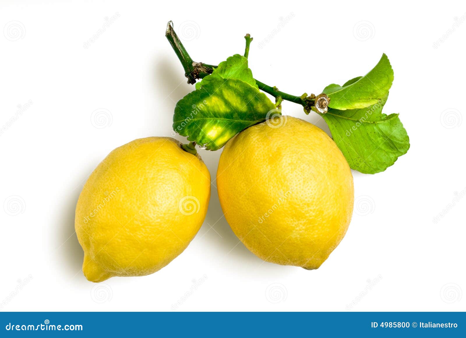Natural lemons stock photo. Image of ingredient, natural - 4985800
